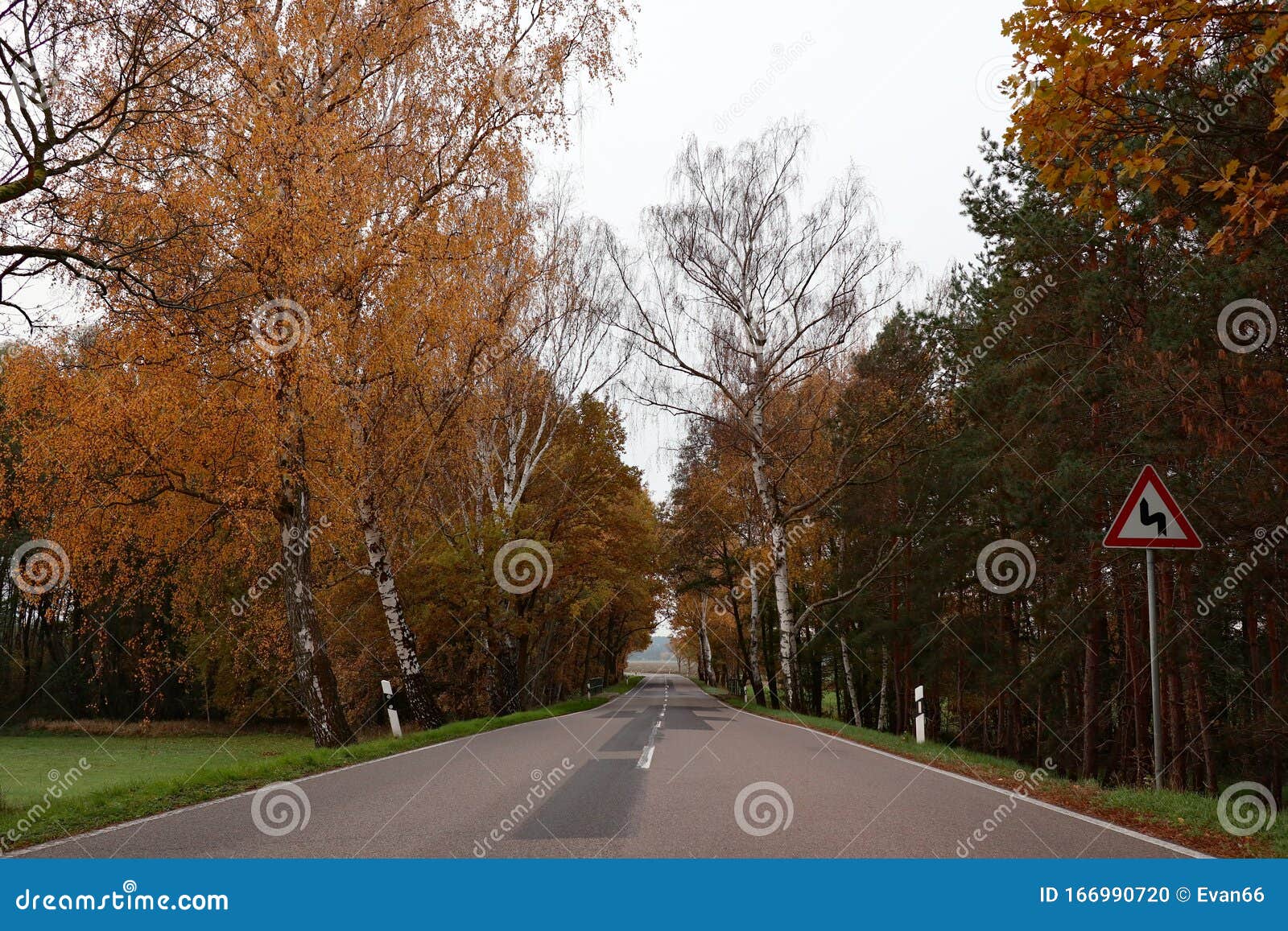 Double Curve Funnel Shaped Architectural Glass Steel Structure Skylight ...