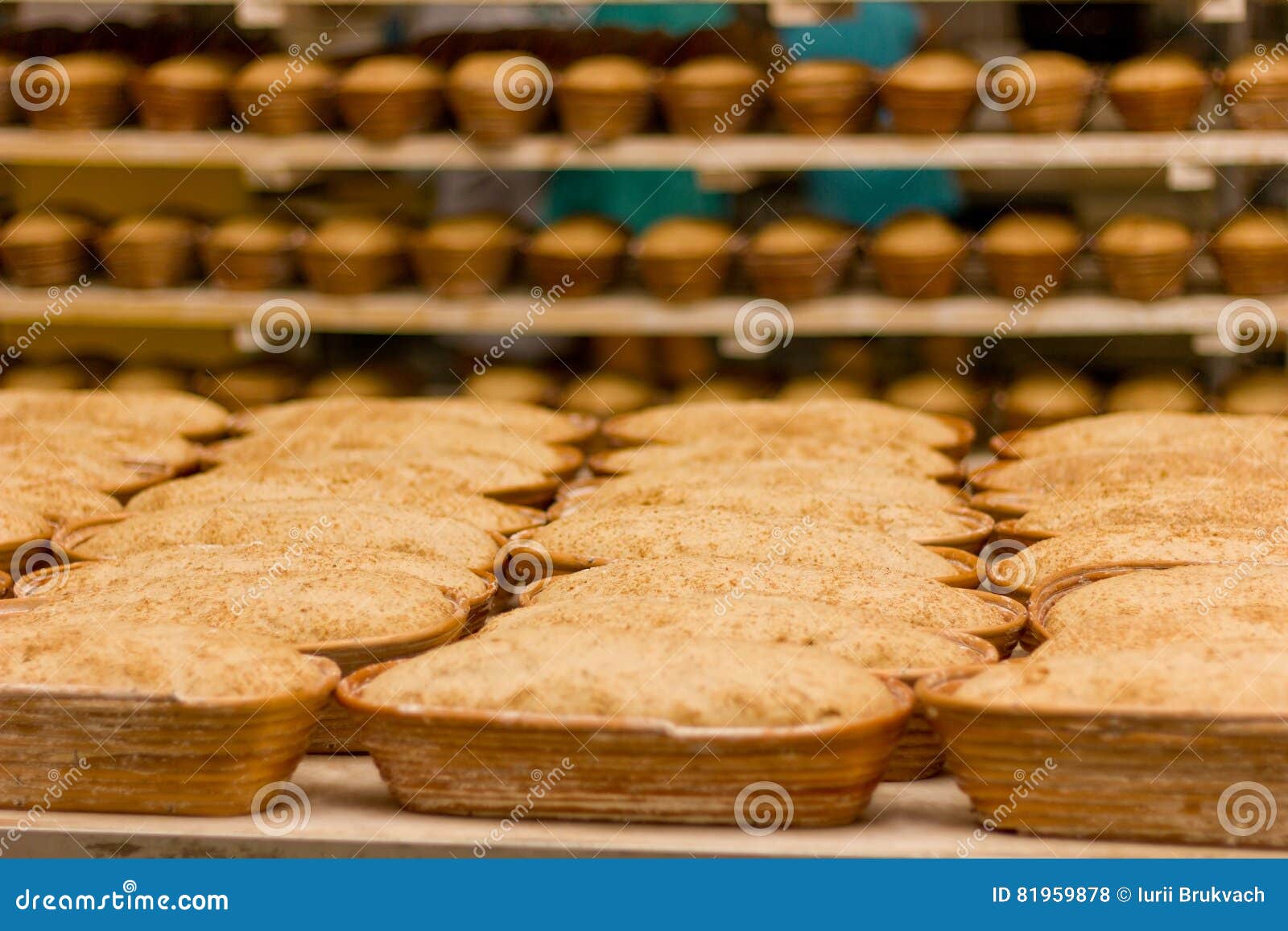 Proving Dough of Bran in Basket. Private Bakery Stock Photo - Image of ...
