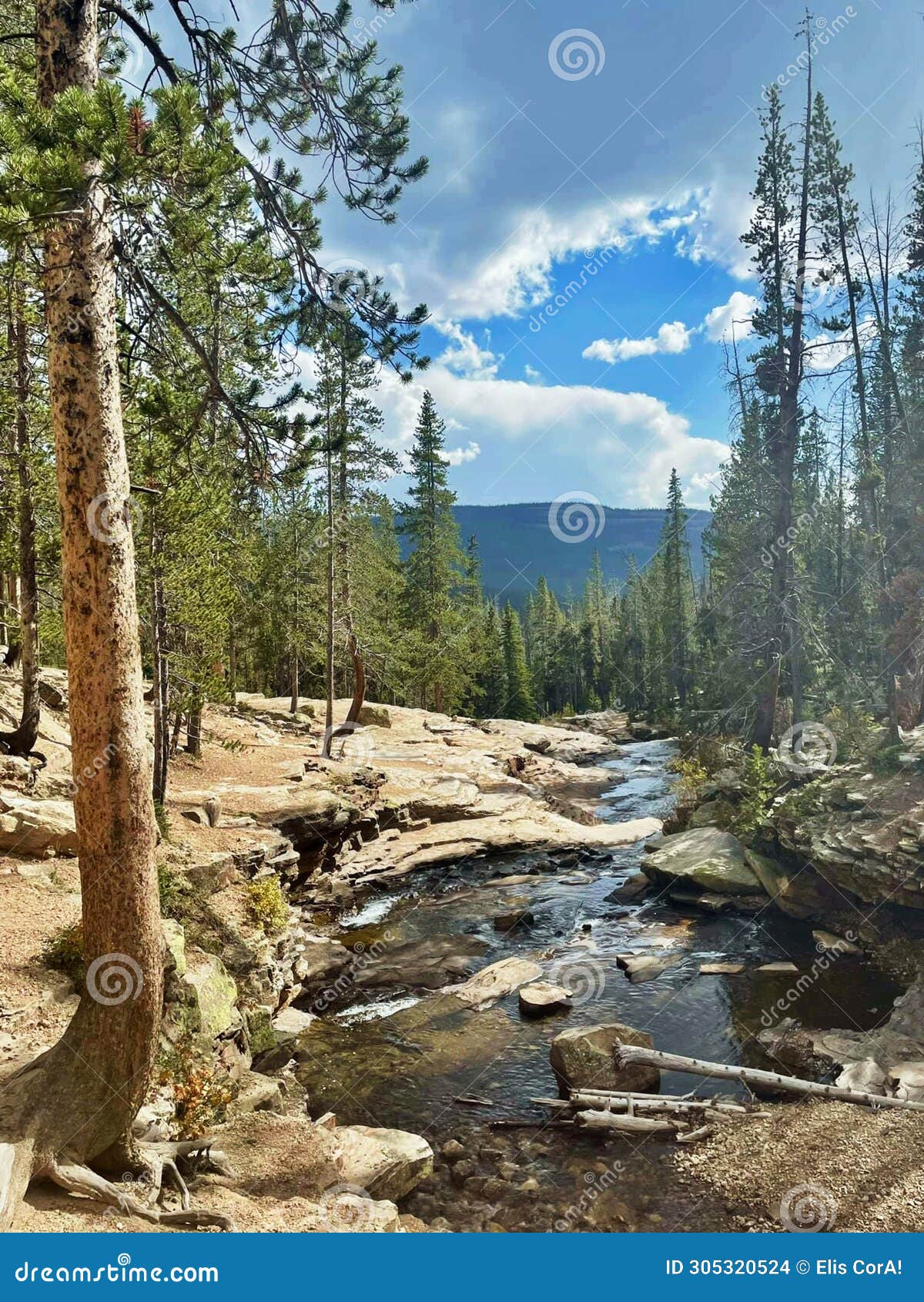 Provo River Downstream of Its Waterfalls, Wasatch-Cache National Forest ...