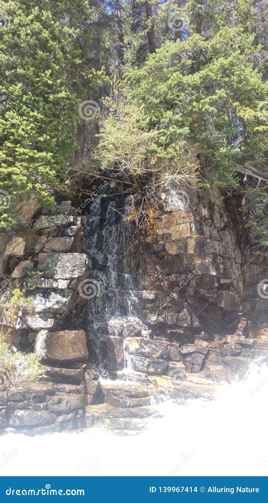 Provo River Falls Wilderness Cascade Stock Photo - Image of geological ...