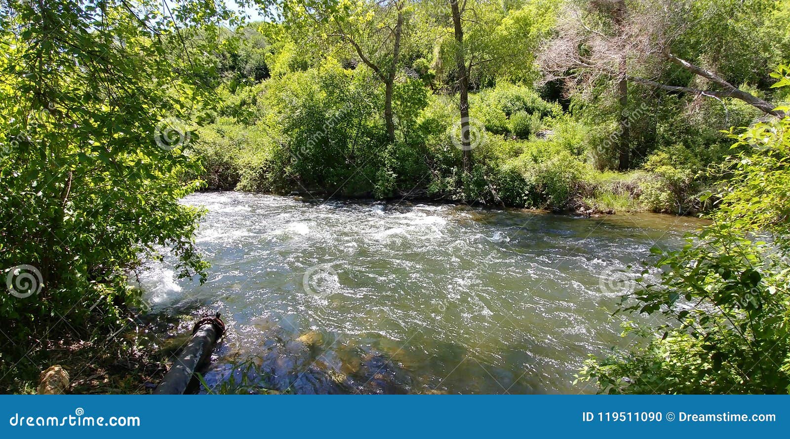 Provo river stock photo. Image of river, canyon, provo - 119511090