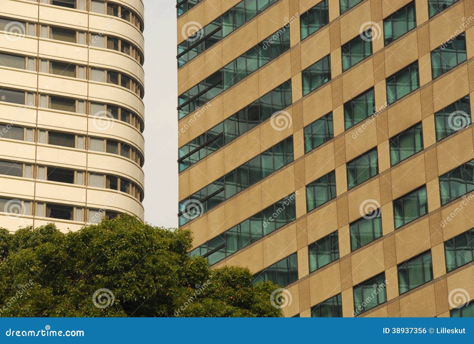 Proximity of buildings stock photo. Image of center, shrubs - 38937356