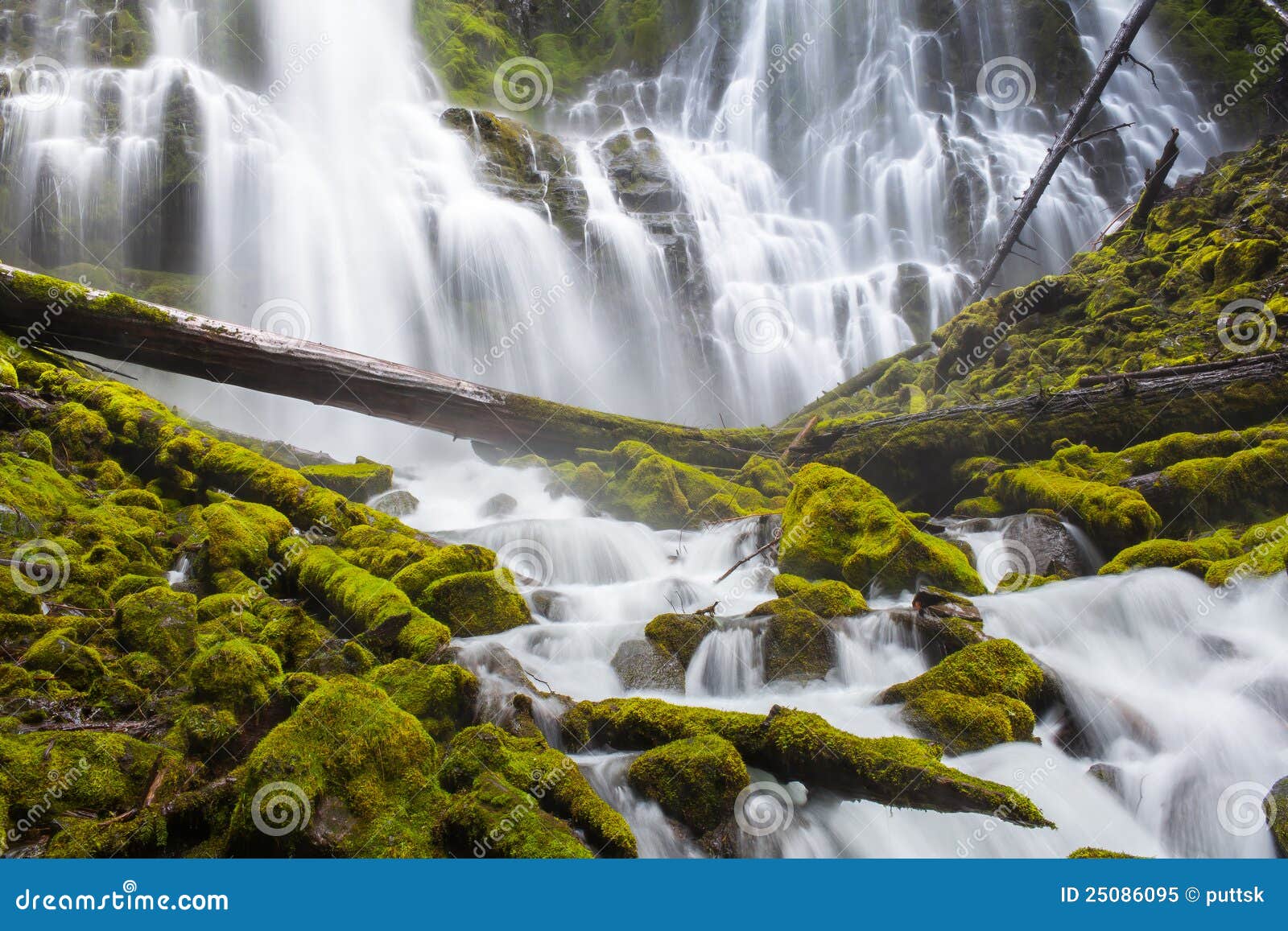 Proxy Falls stock image. Image of moss, spray, stone - 25086095