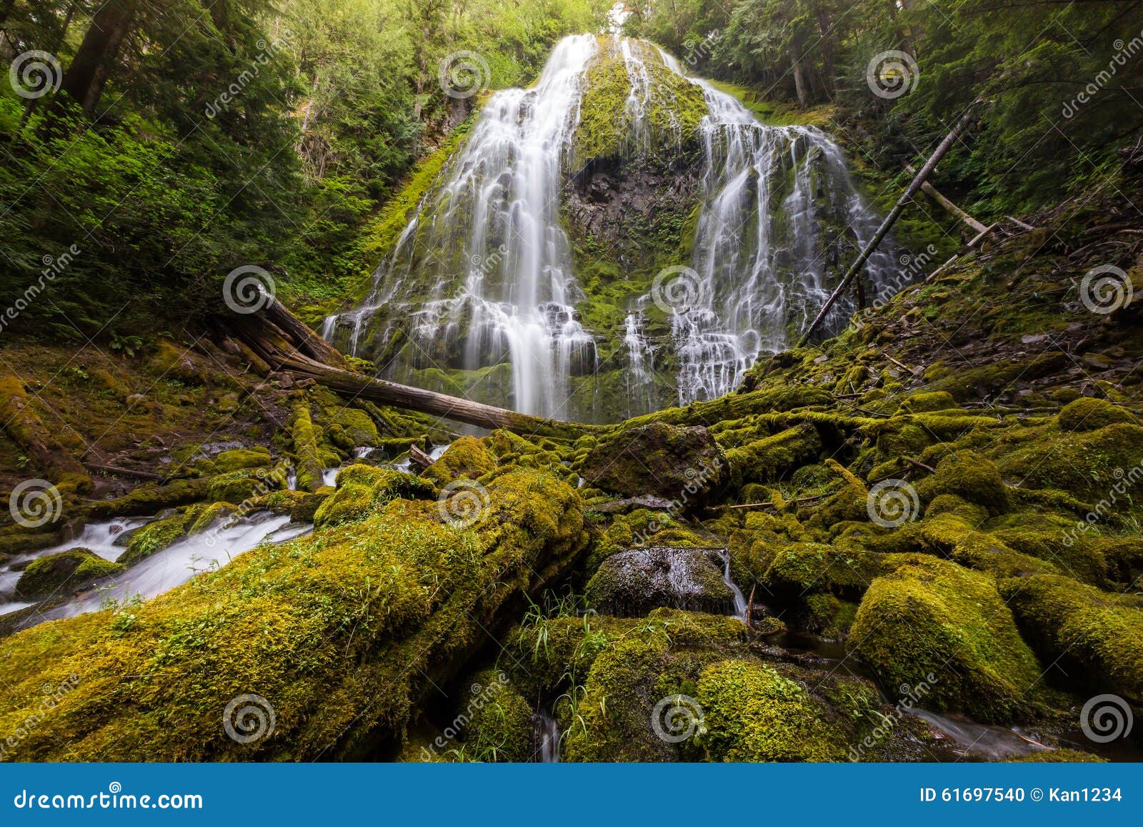 Proxy Falls in Oregon Rain Forest. Stock Photo - Image of oregon, mist ...