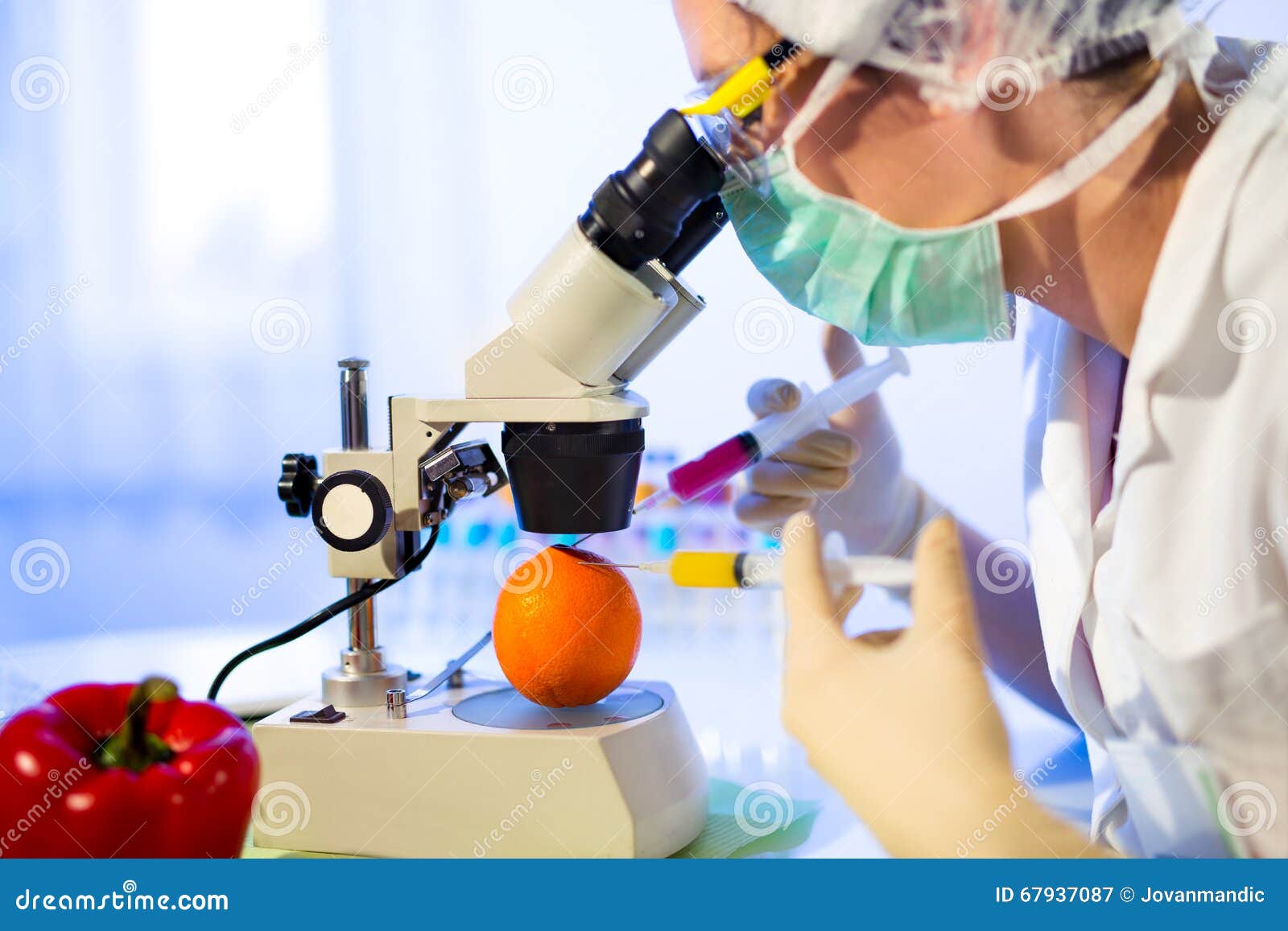 Prueba De La Comida En El Laboratorio Comida De La OGM Imagen de ...