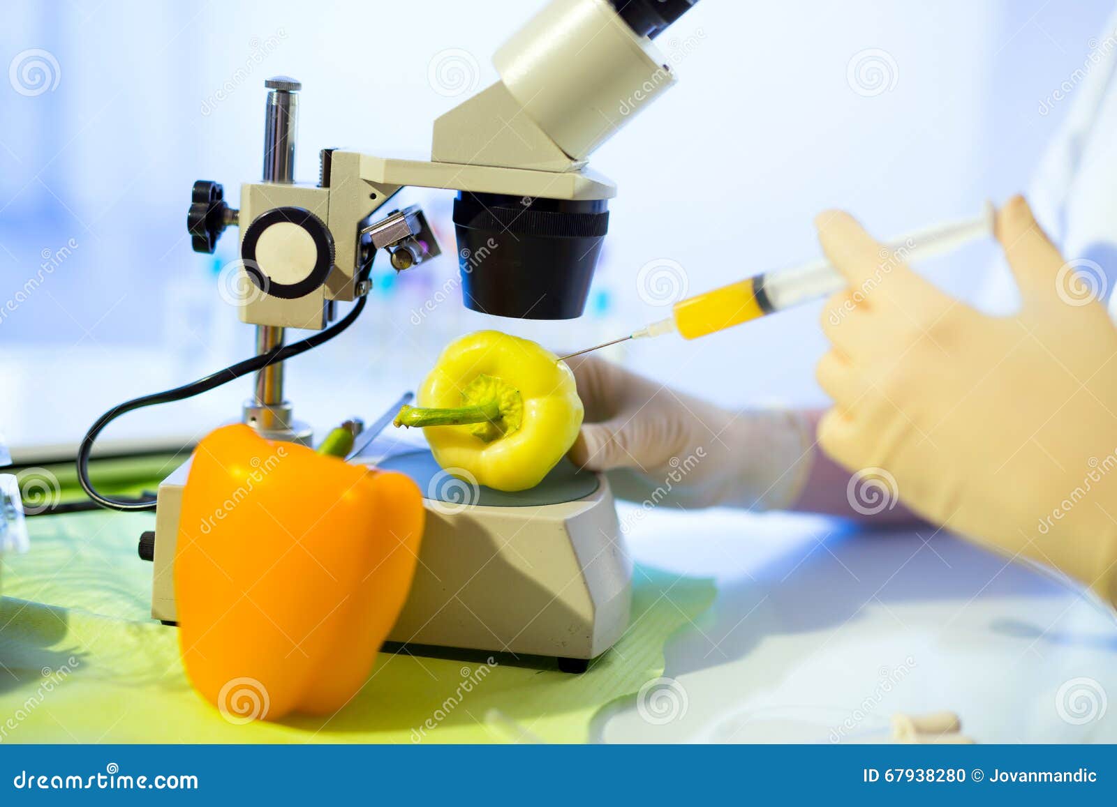 Prueba De La Comida En El Laboratorio Comida De La OGM Foto de archivo ...
