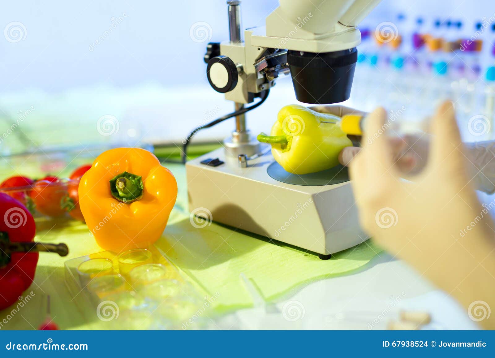 Prueba De La Comida En El Laboratorio Comida De La OGM Foto de archivo ...