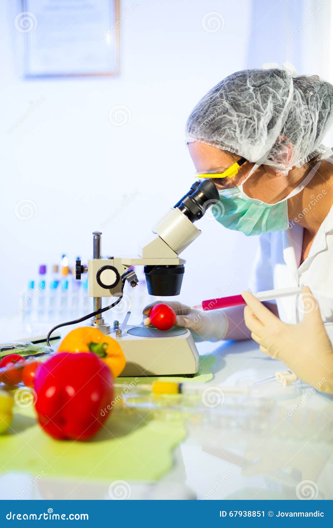 Prueba De La Comida En El Laboratorio Comida De La OGM Imagen de ...