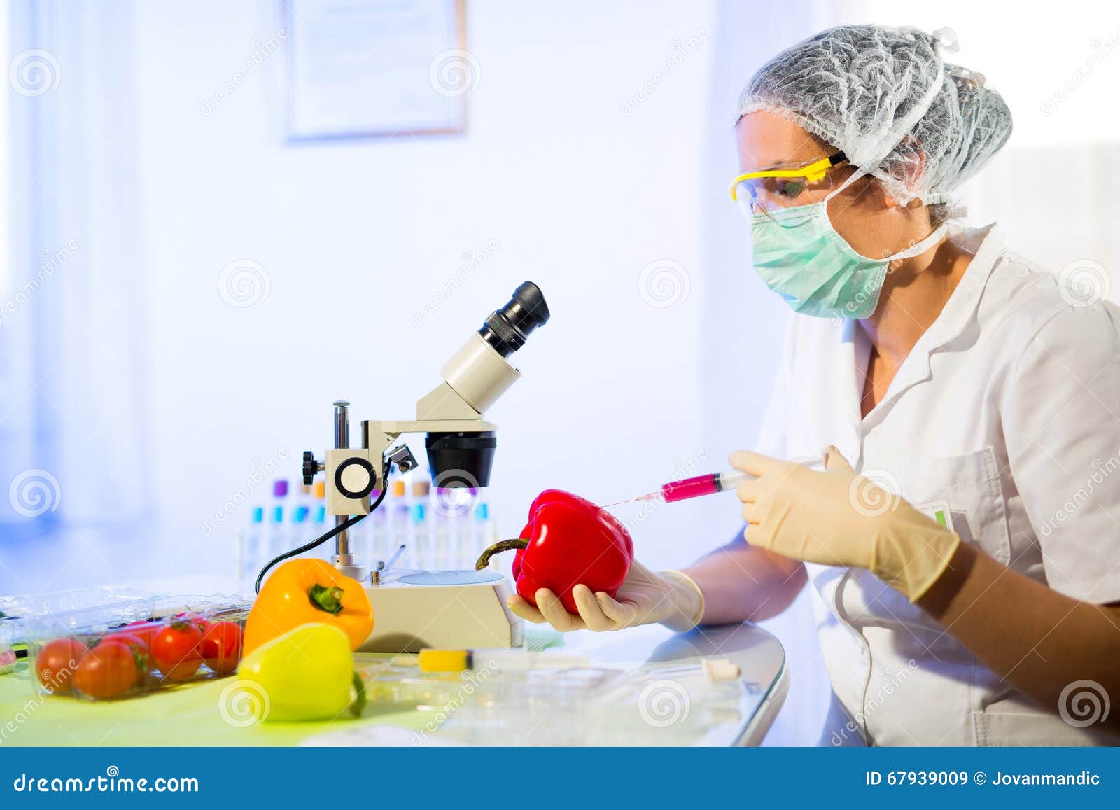Prueba De La Comida En El Laboratorio Comida De La OGM Imagen de ...