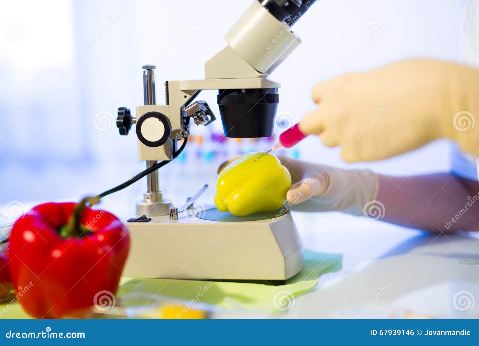 Prueba De La Comida En El Laboratorio Comida De La OGM Foto de archivo ...