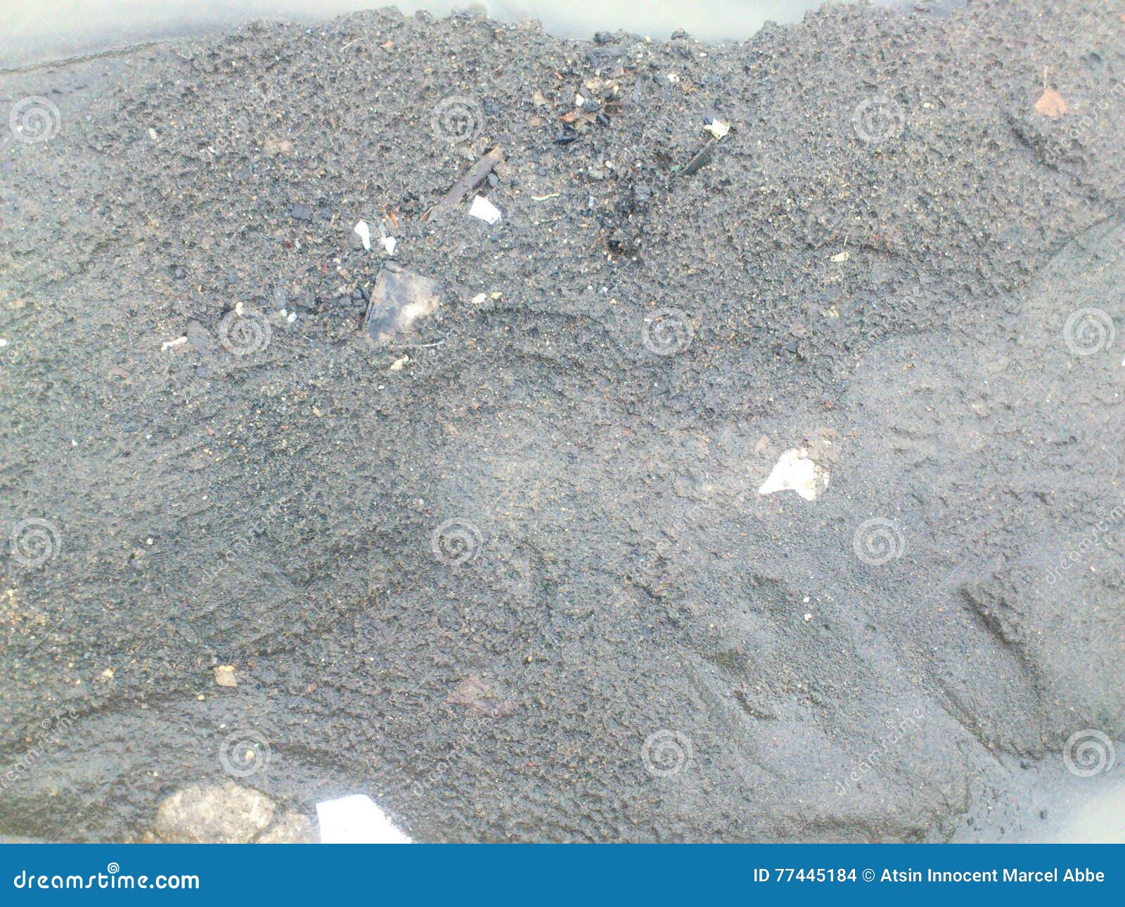 PRUEBA DE LA TIERRA DE LA HUMUS Foto de archivo - Imagen de bueno ...