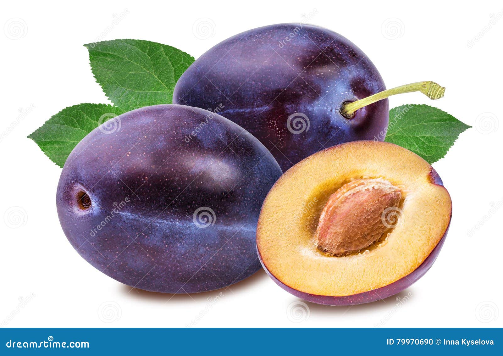 Prugna su un bianco fotografia stock. Immagine di intero - 79970690