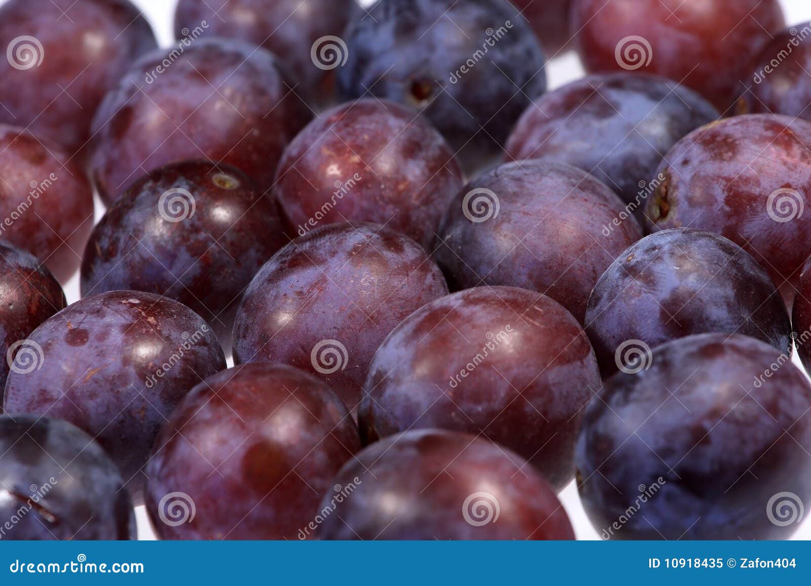 Prugne immagine stock. Immagine di pianta, mangi, organico - 10918435