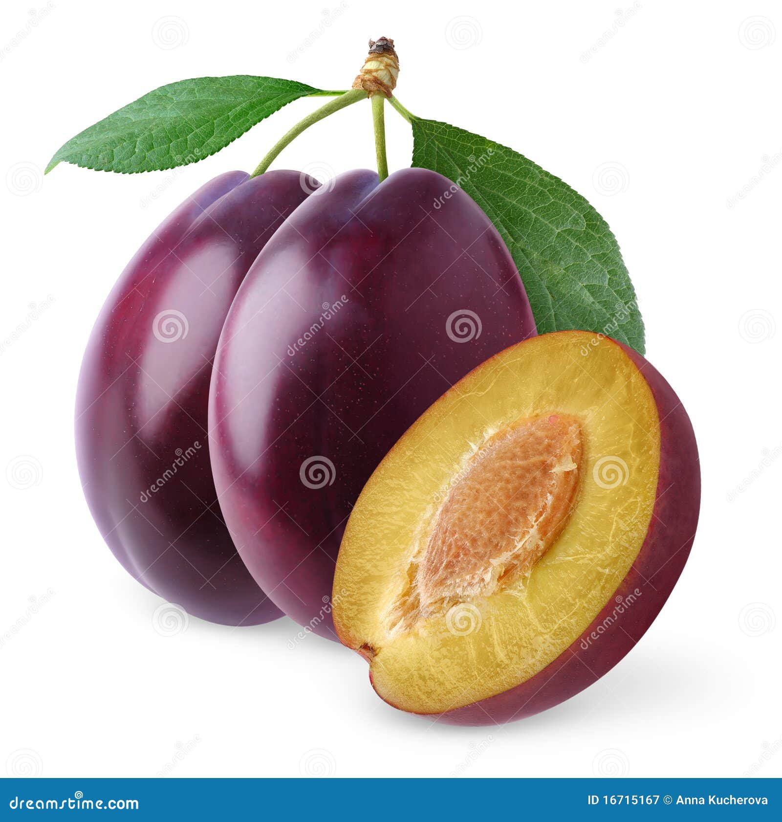 Pruim stock afbeelding. Image of sluit, pruim, kern, blauw - 16715167