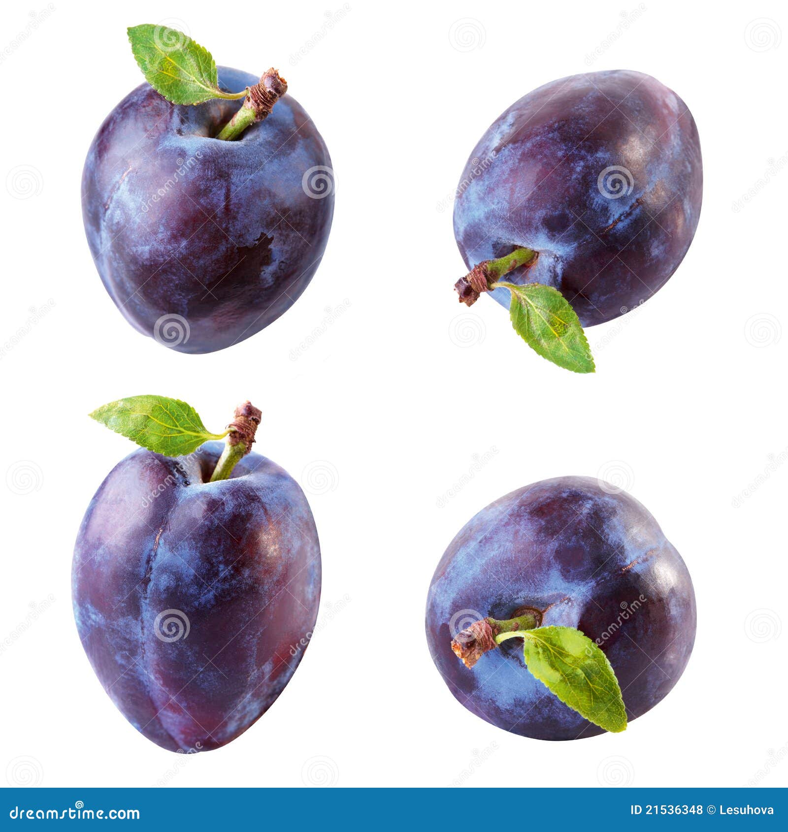 Pruim stock foto. Image of vrucht, blad, voedsel, vers - 21536348