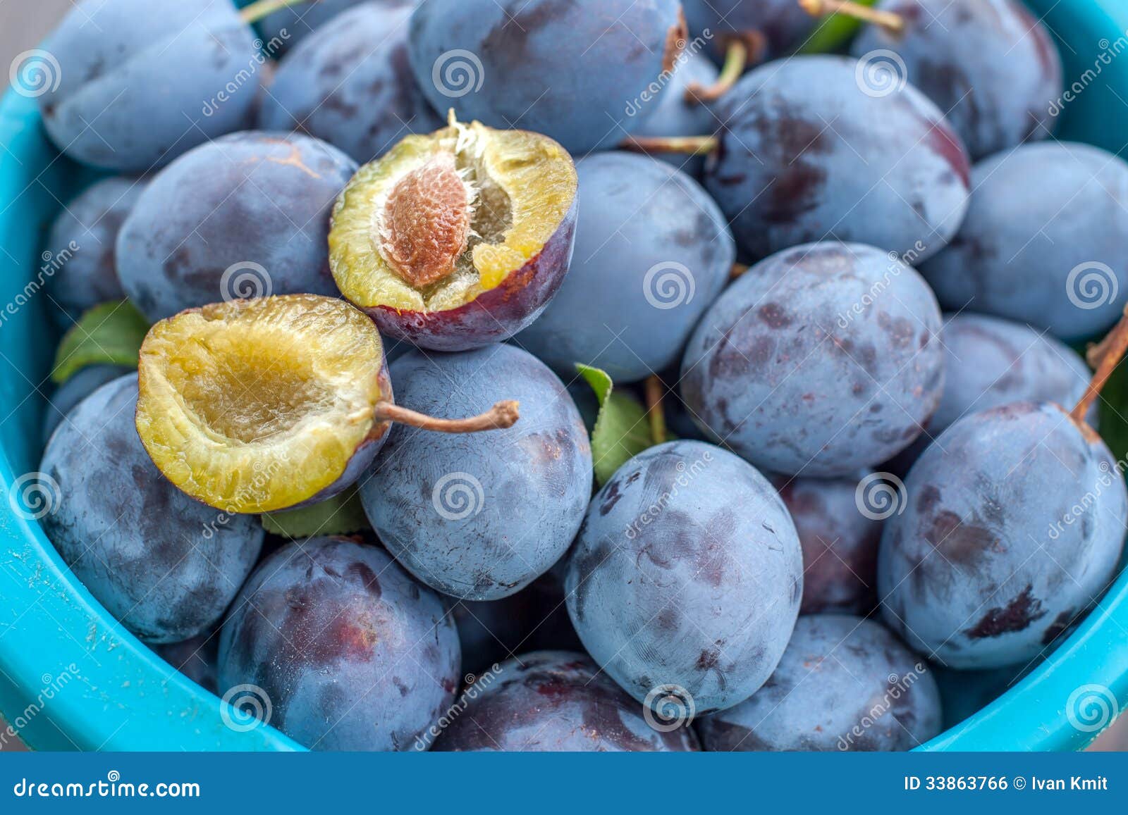 Pruim stock foto. Image of pruim, nave, versheid, vers - 33863766