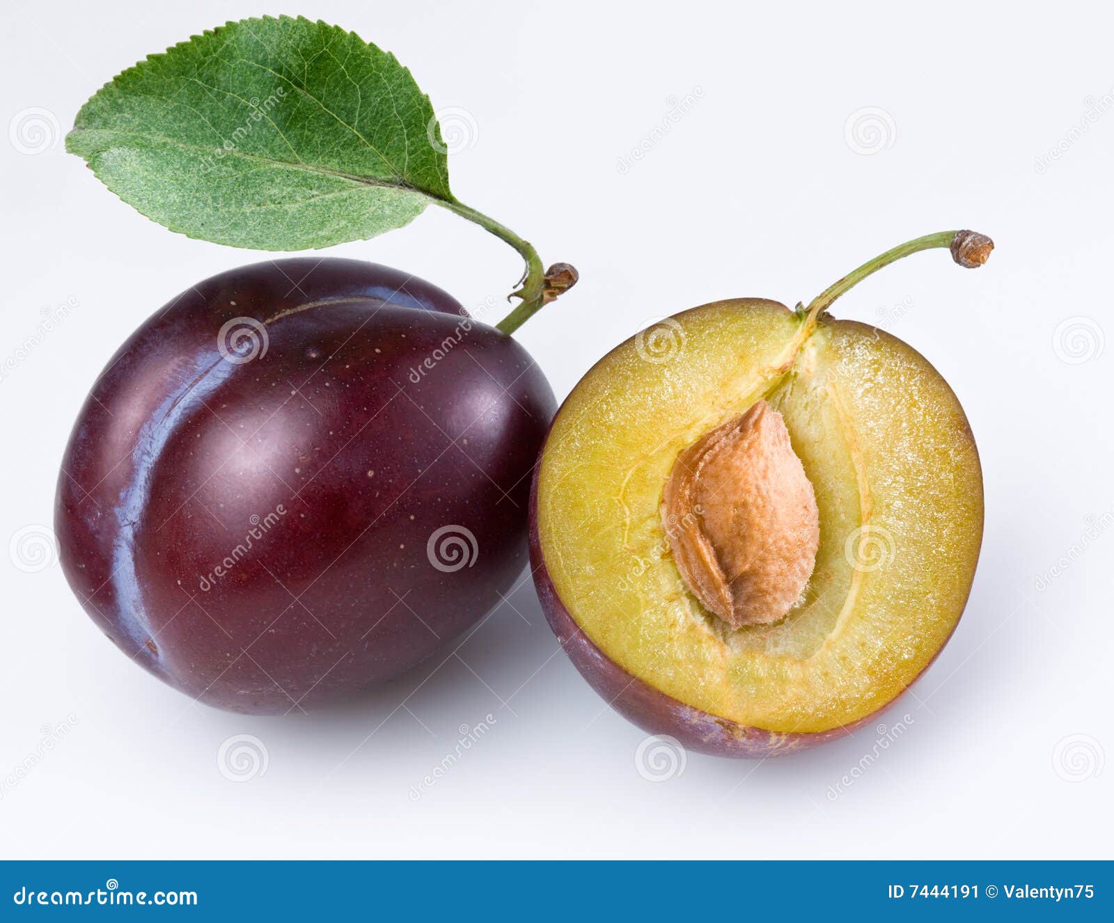 Pruim stock afbeelding. Afbeelding bestaande uit groen - 7444191