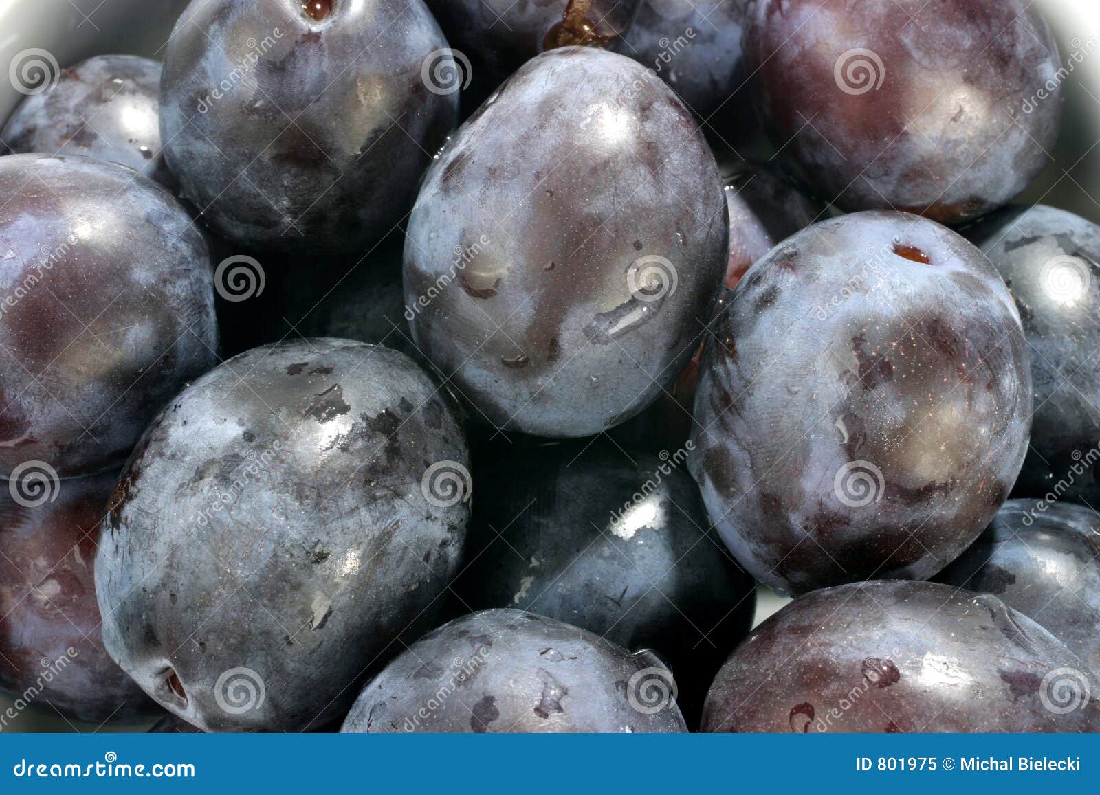 Pruim stock afbeelding. Image of zoet, zuur, nave, blauw - 801975