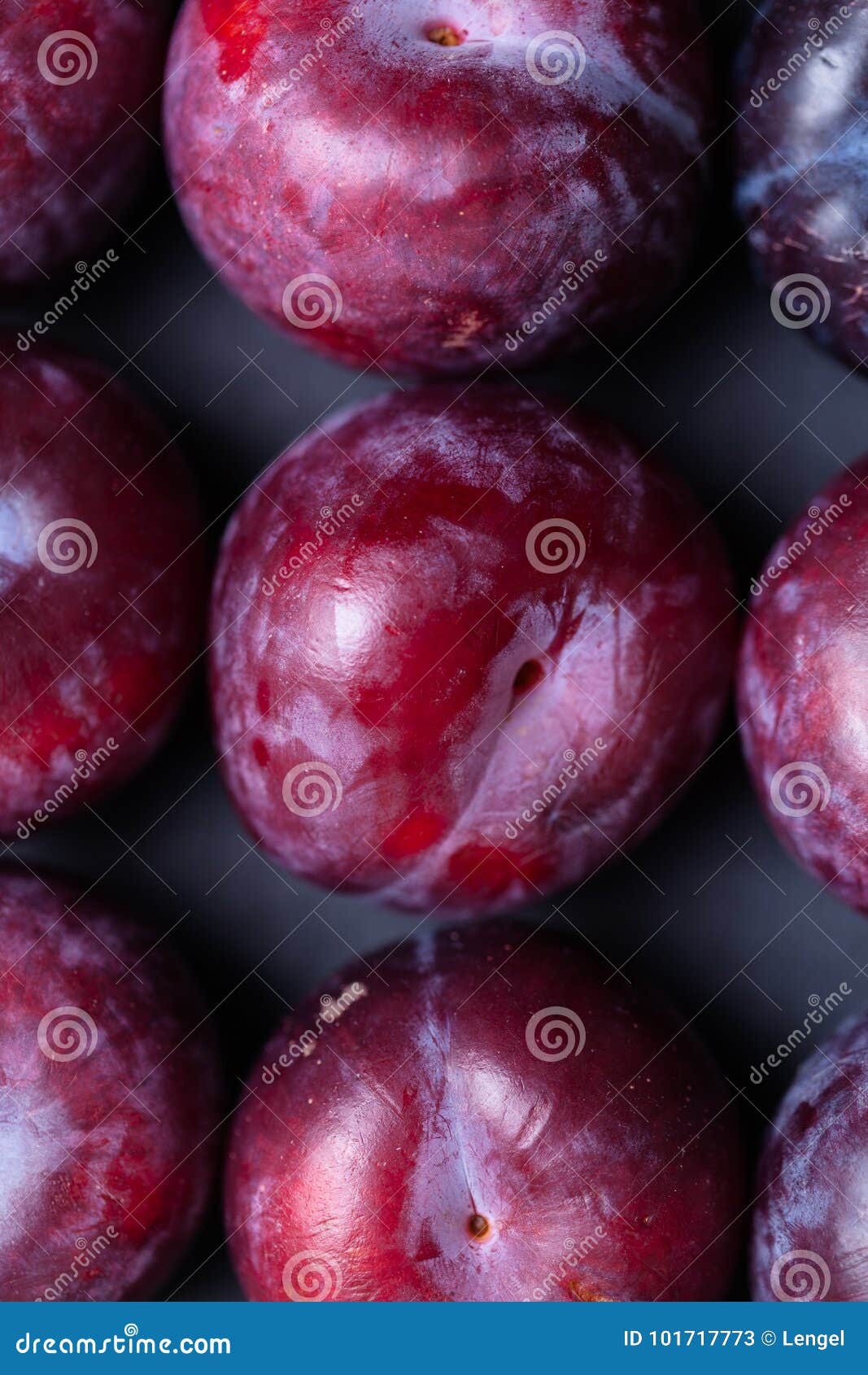 Pruimen stock afbeelding. Image of niemand, sappig, pruim - 101717773