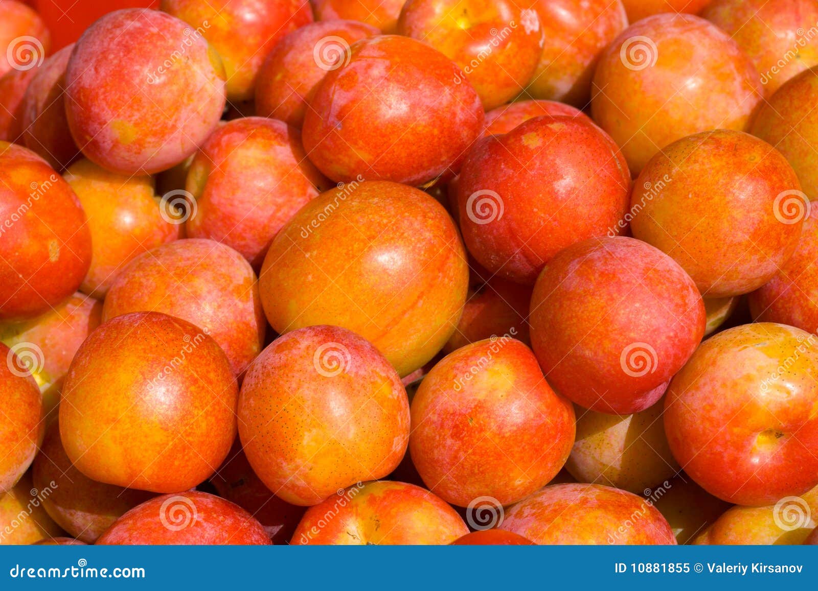 Pruimen 2 stock afbeelding. Image of pruim, versheid - 10881855