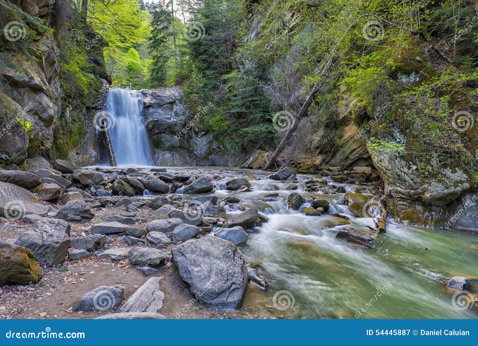 Pruncea Waterfall on the Casoca River Stock Image - Image of tree ...