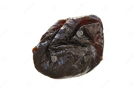 Prune stock image. Image of laxative, wrinkled, isolated - 23468505