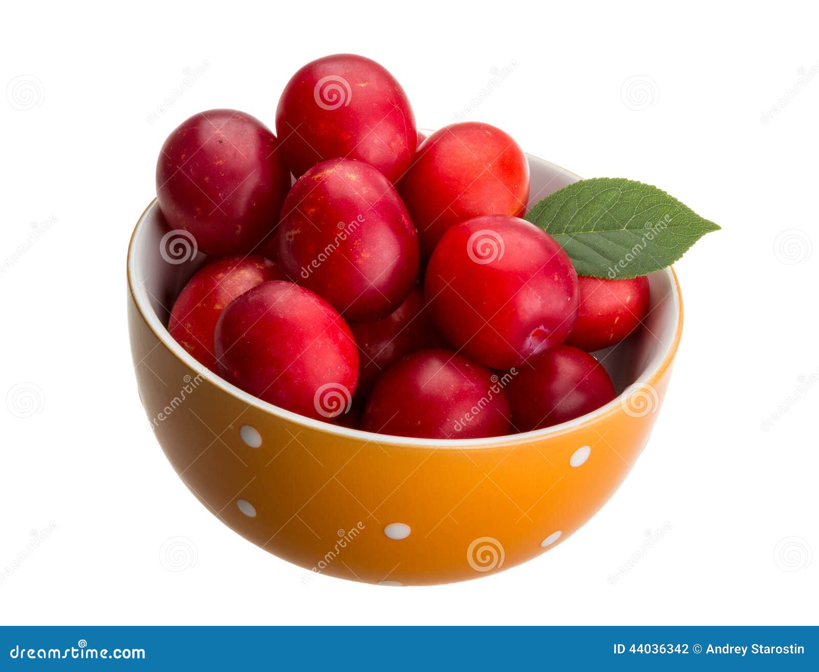 Prune de quetsche photo stock. Image du fond, brandy - 44036342