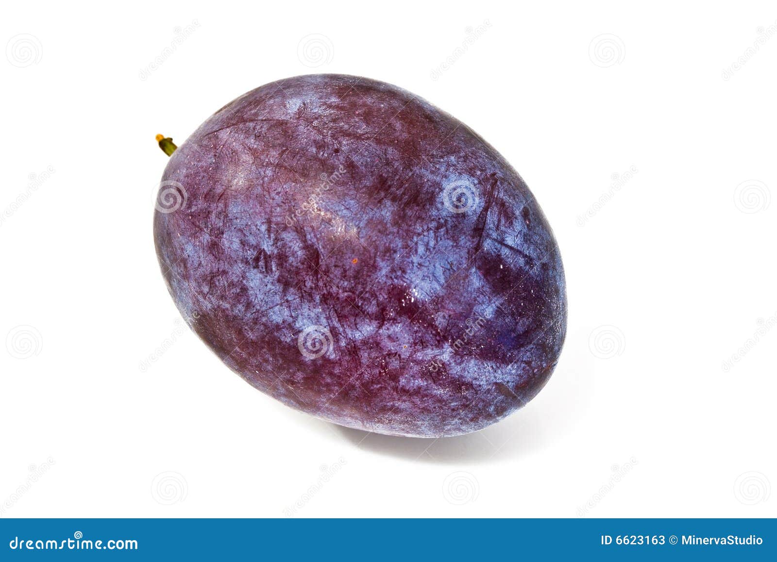 Prune isolated on white stock image. Image of diet, juice - 6623163