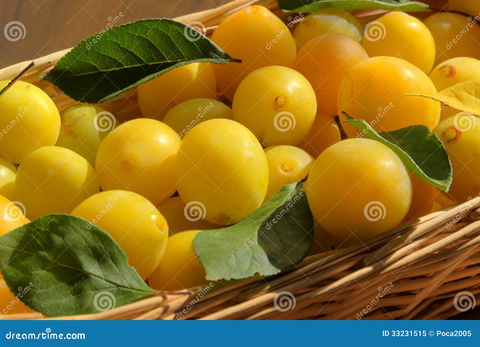 Prune jaune de miel image stock. Image du fond, durée - 33231515