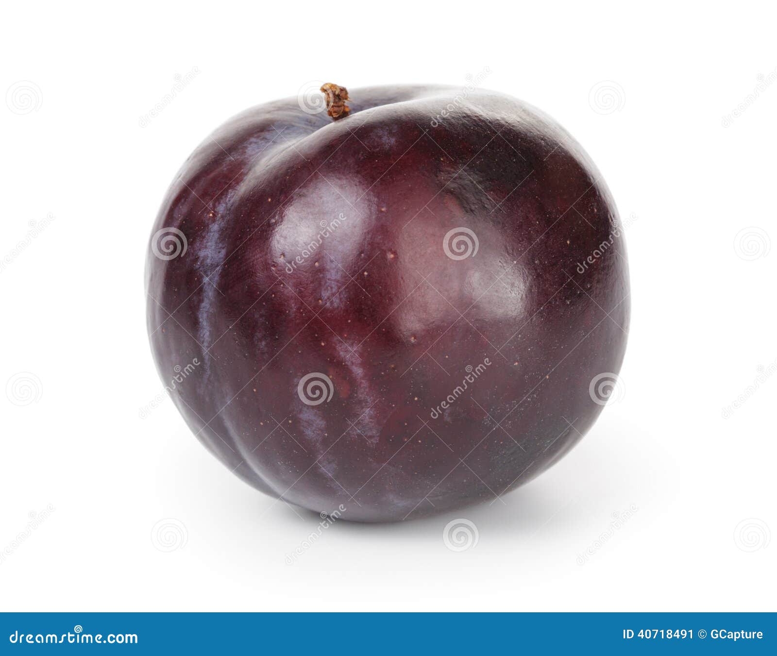 Prune noire simple image stock. Image du simple, plomb - 40718491
