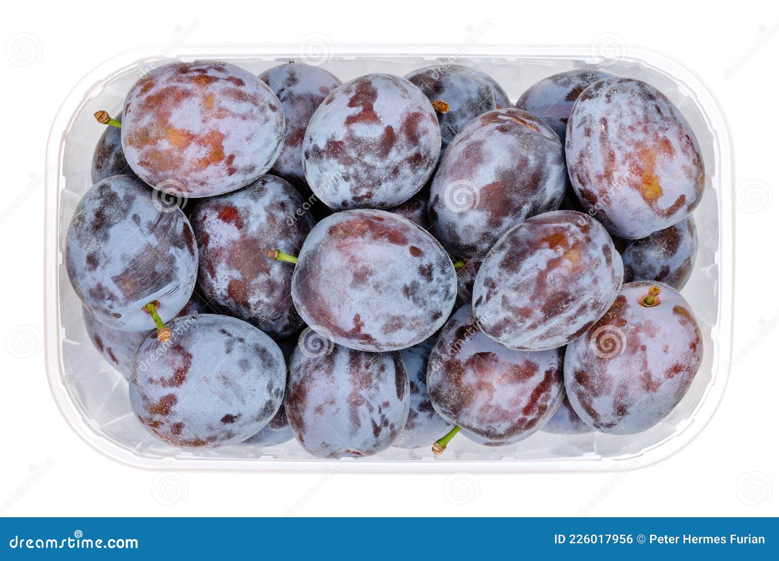 Ripe Prune Plums, Fresh Freestone Fruits in a Clear Plastic Container ...