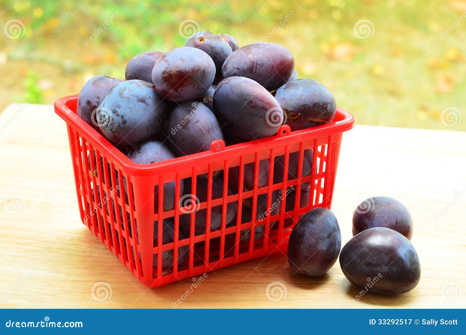 Prune plums stock image. Image of colorful, organic, nutritious - 33292517