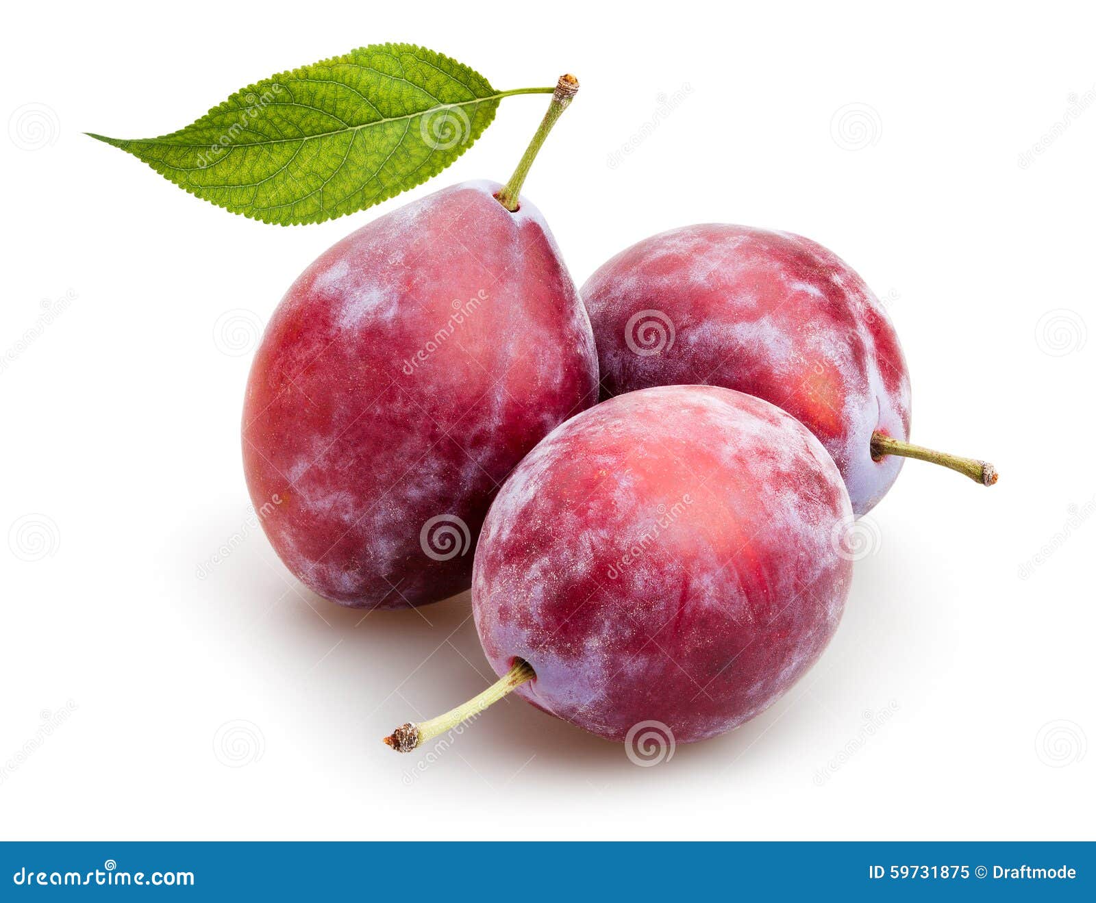 Prune Rouge Photo stock - Image: 59731875