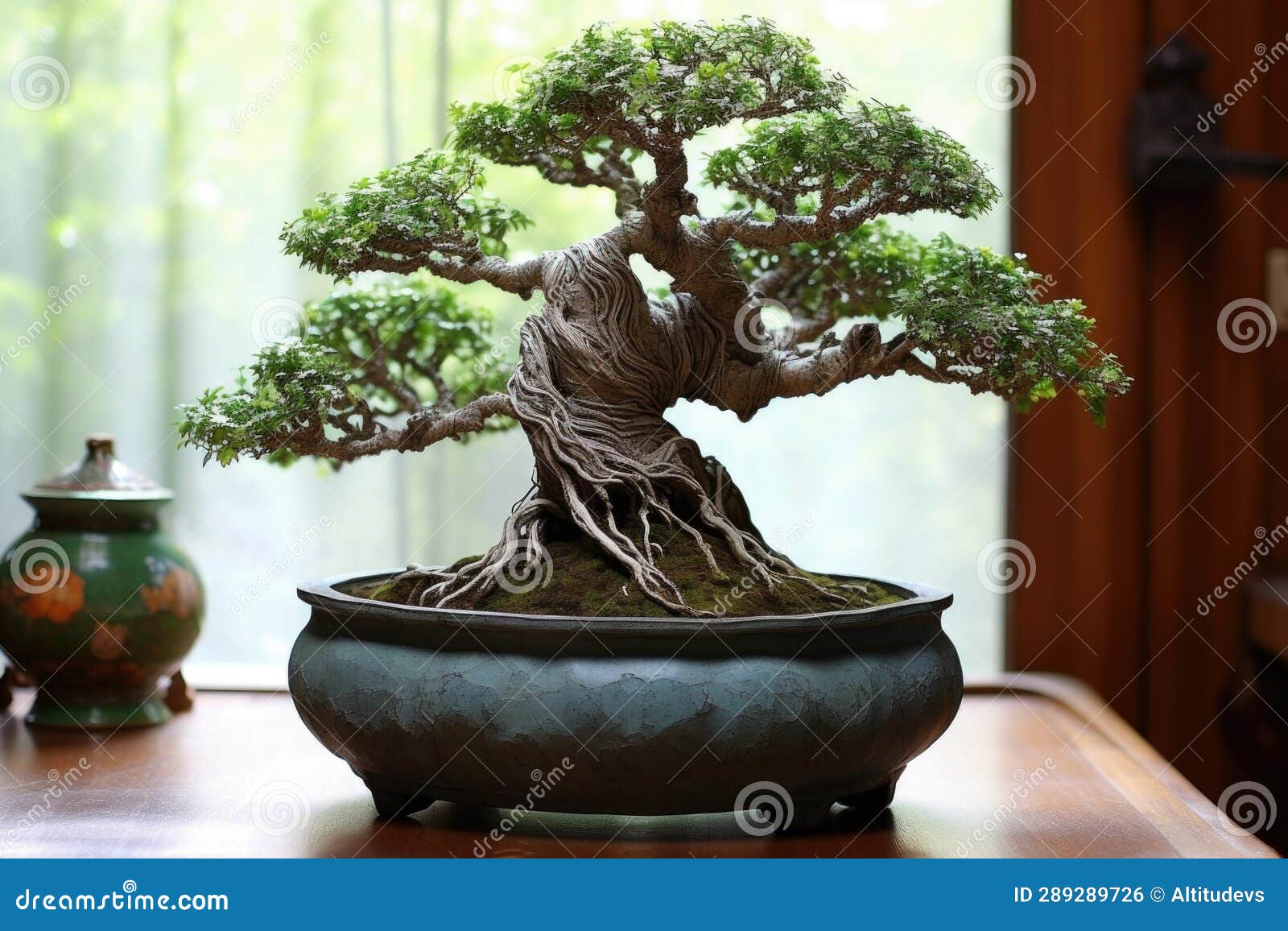 Beautiful Pruned Tree In A Japanese Garden, Topiary Art Forms ...