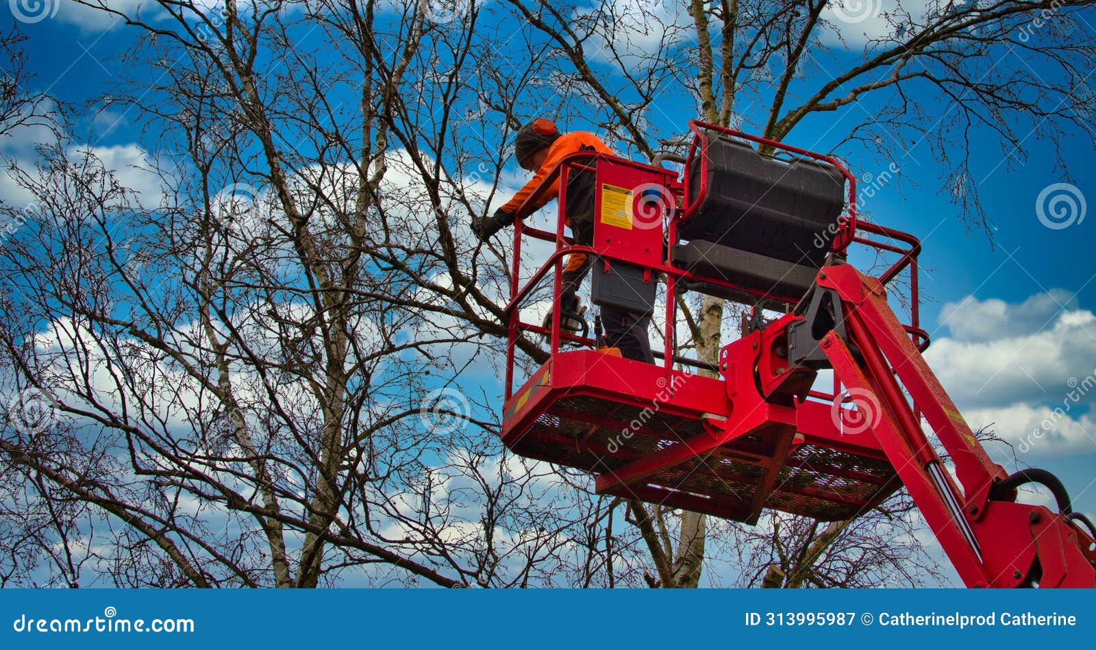 Pruner on Cherry Picker Cutting Tree in the Air Stock Image - Image of ...