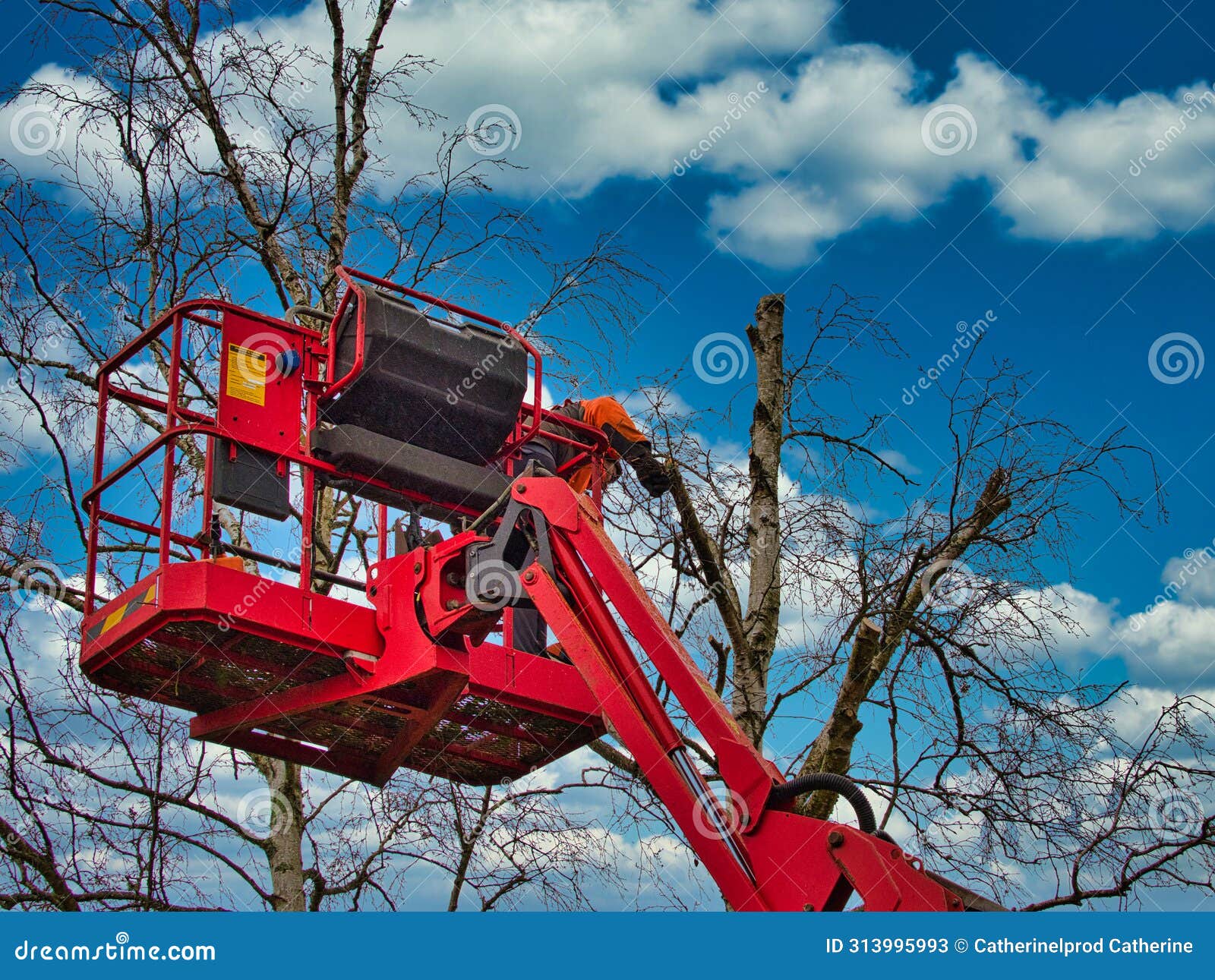 Pruner on Cherry Picker Cutting Tree in the Air Stock Image - Image of ...