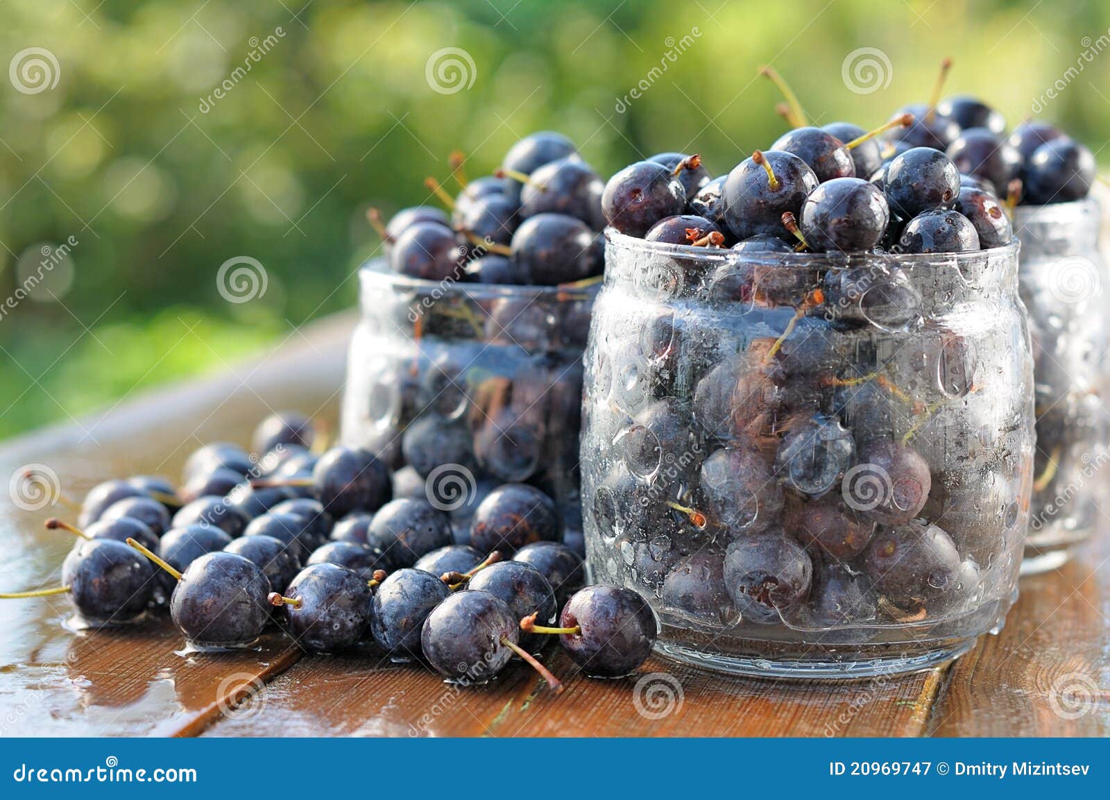 Prunes stock image. Image of ripe, nature, bright, organic - 20969747