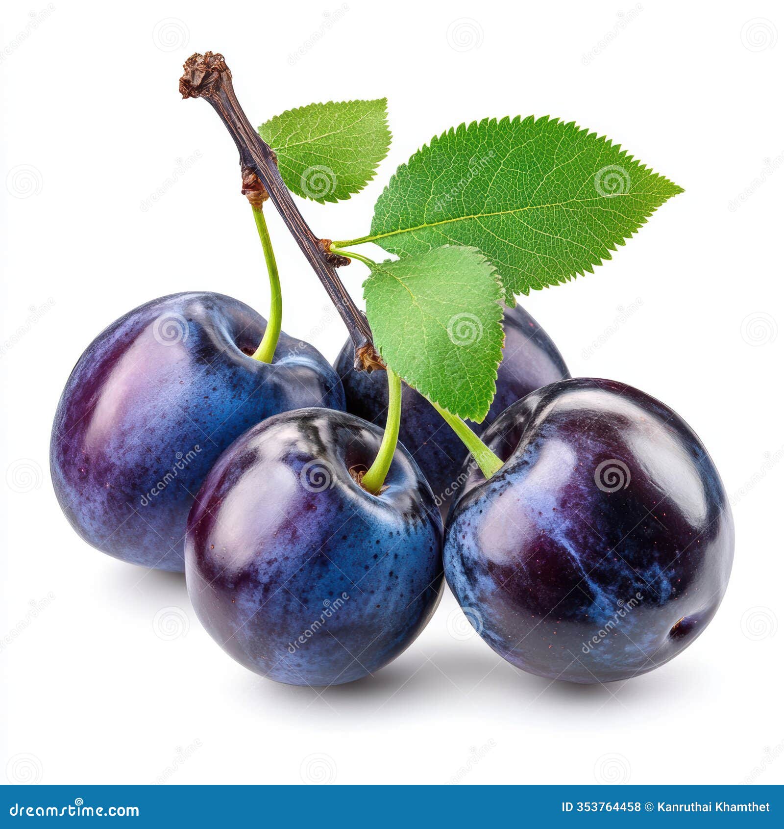Prunes Fresh Fruit Isolated on White Background Stock Photo - Image of ...