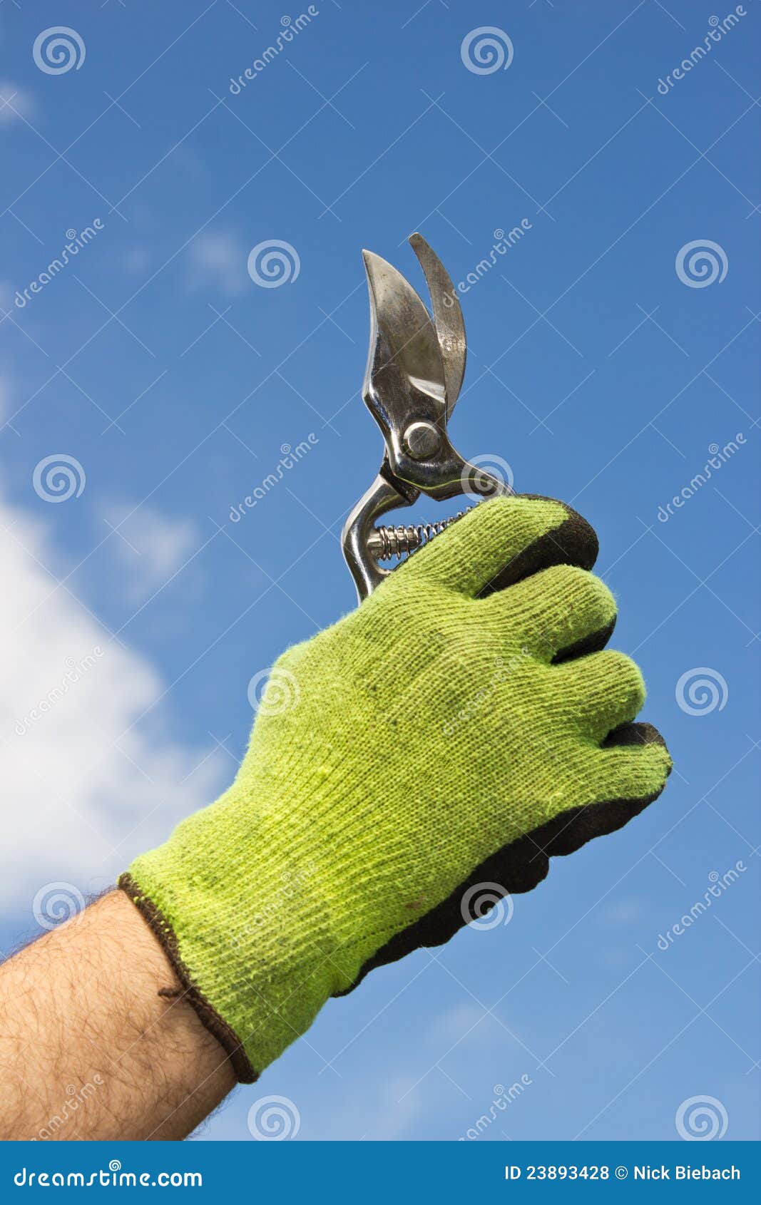 Pruning Clippers stock photo. Image of human, spring - 23893428