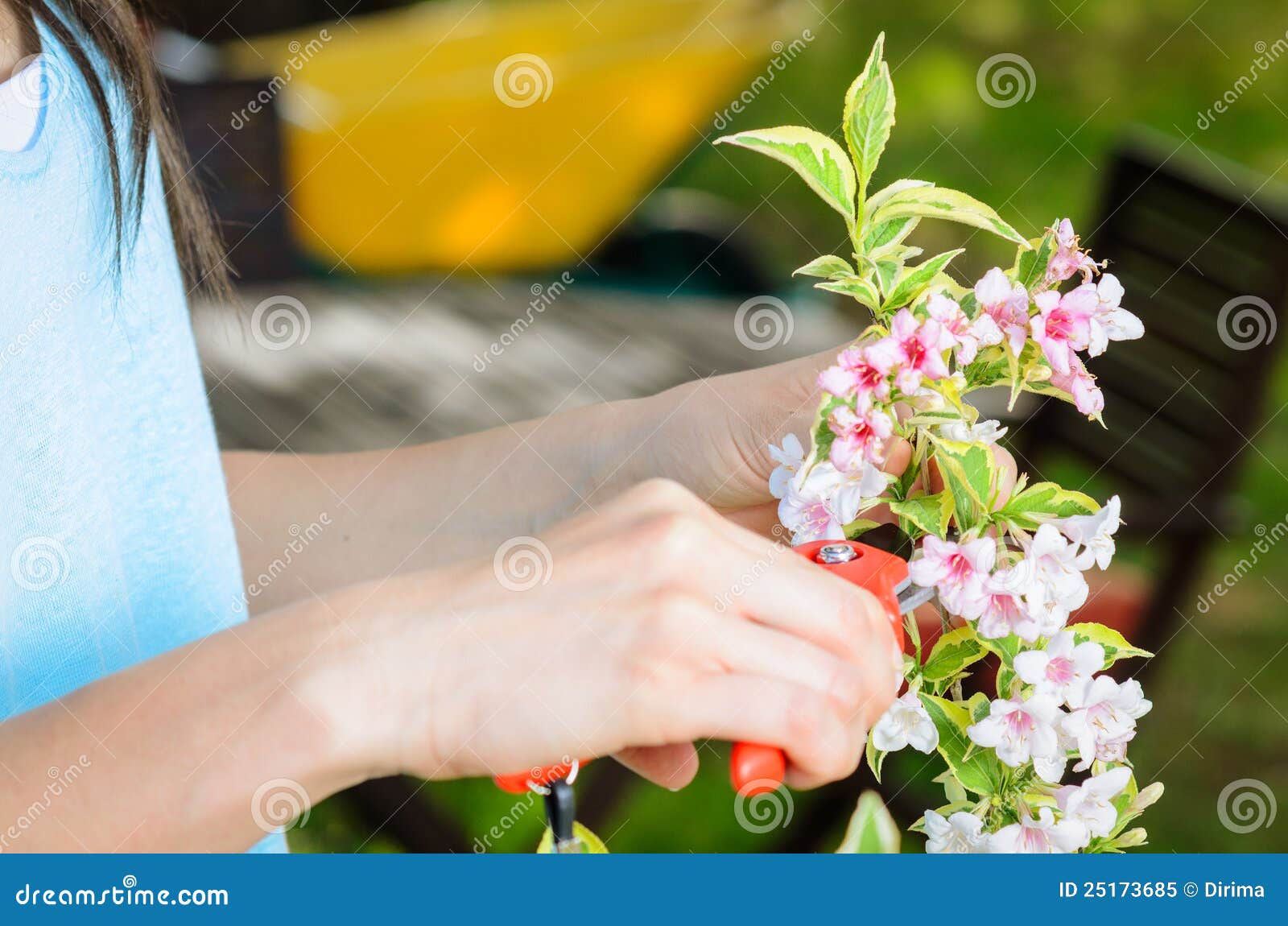 Pruning a flower stock image. Image of detail, green - 25173685