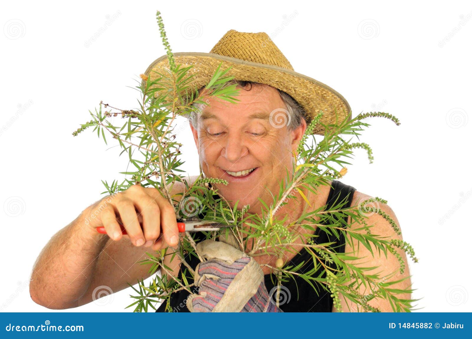 Pruning Gardener stock photo. Image of middle, smiling - 14845882