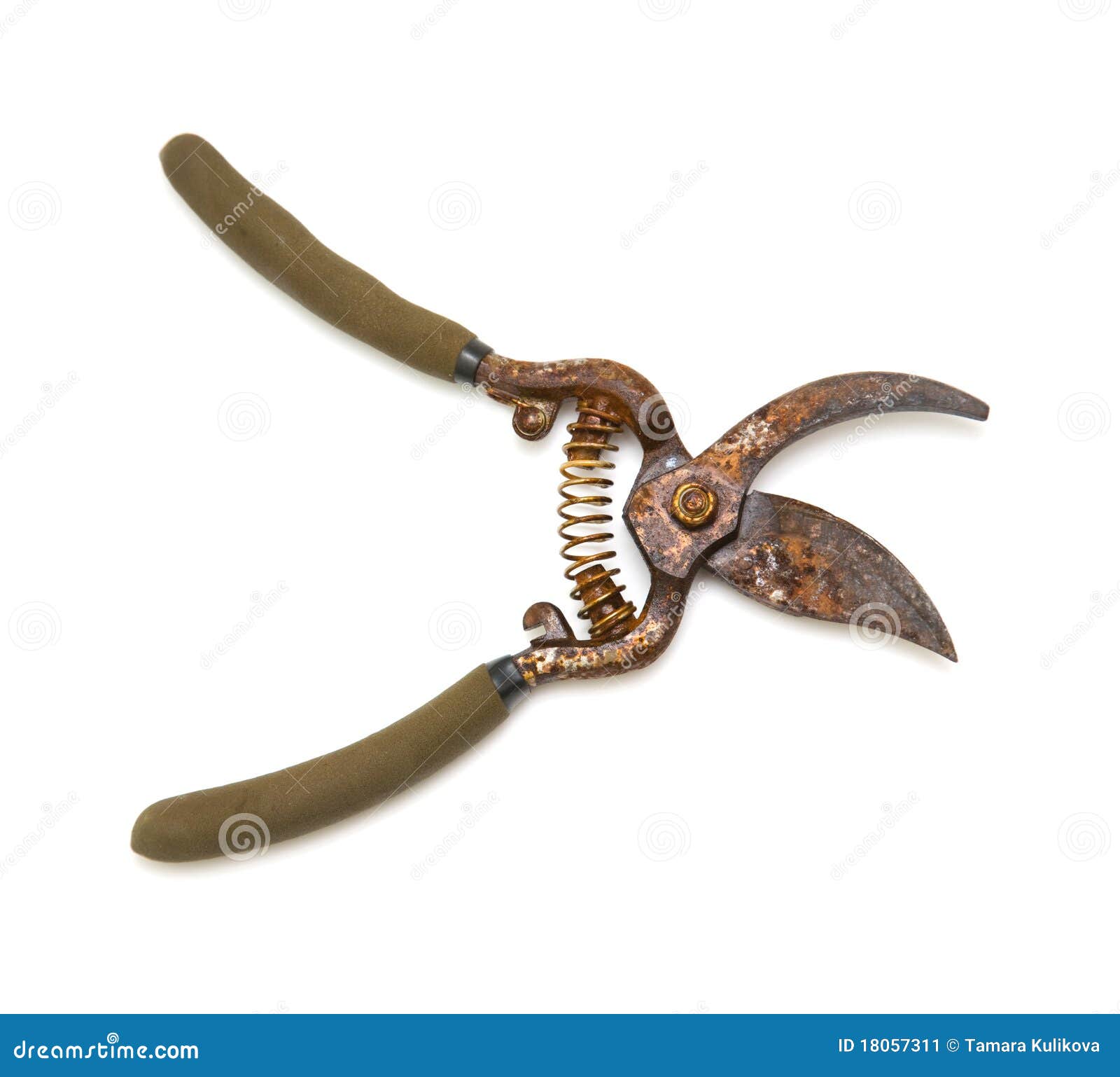 Pruning shears stock image. Image of water, white, garden - 18057311