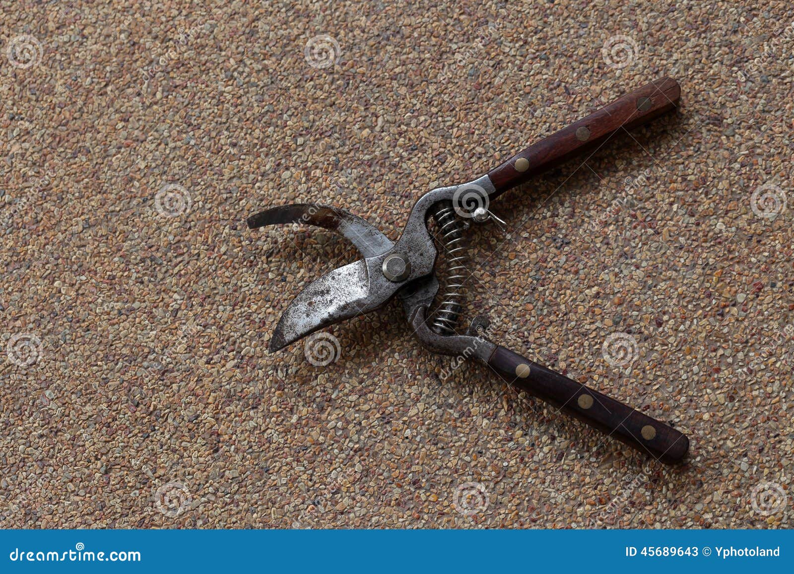 Pruning Shears stock image. Image of tool, rusty, floor - 45689643
