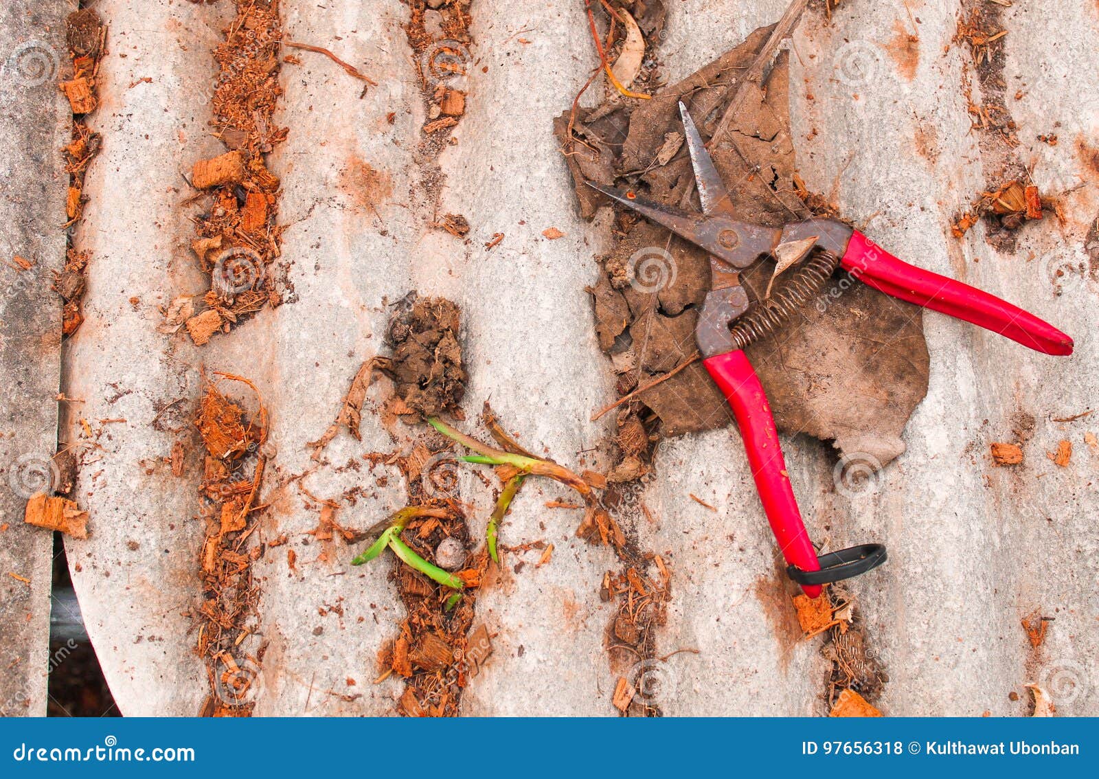 Pruning Shears red stock photo. Image of close, scissors - 97656318