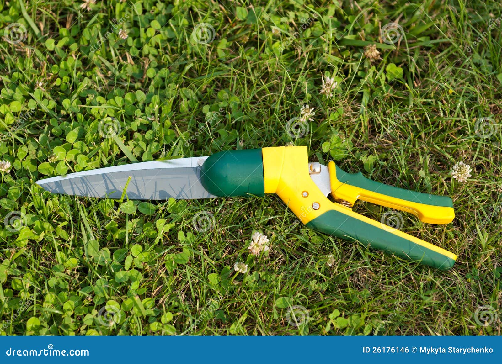 Pruning sheers stock photo. Image of growth, sharp, shears - 26176146