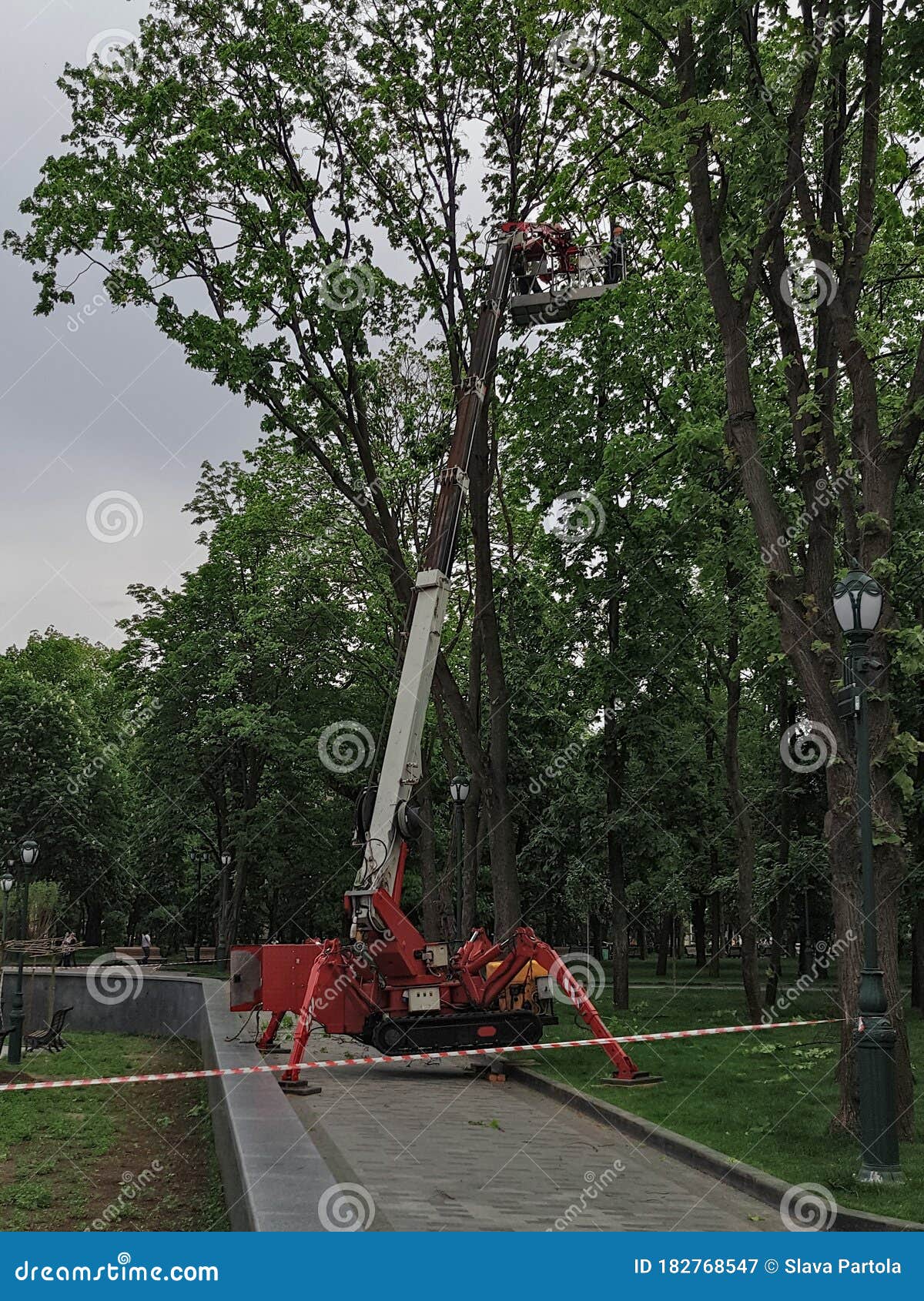 Pruning Trees in a Park with a Mechanical Motorized Lift Stock Image ...