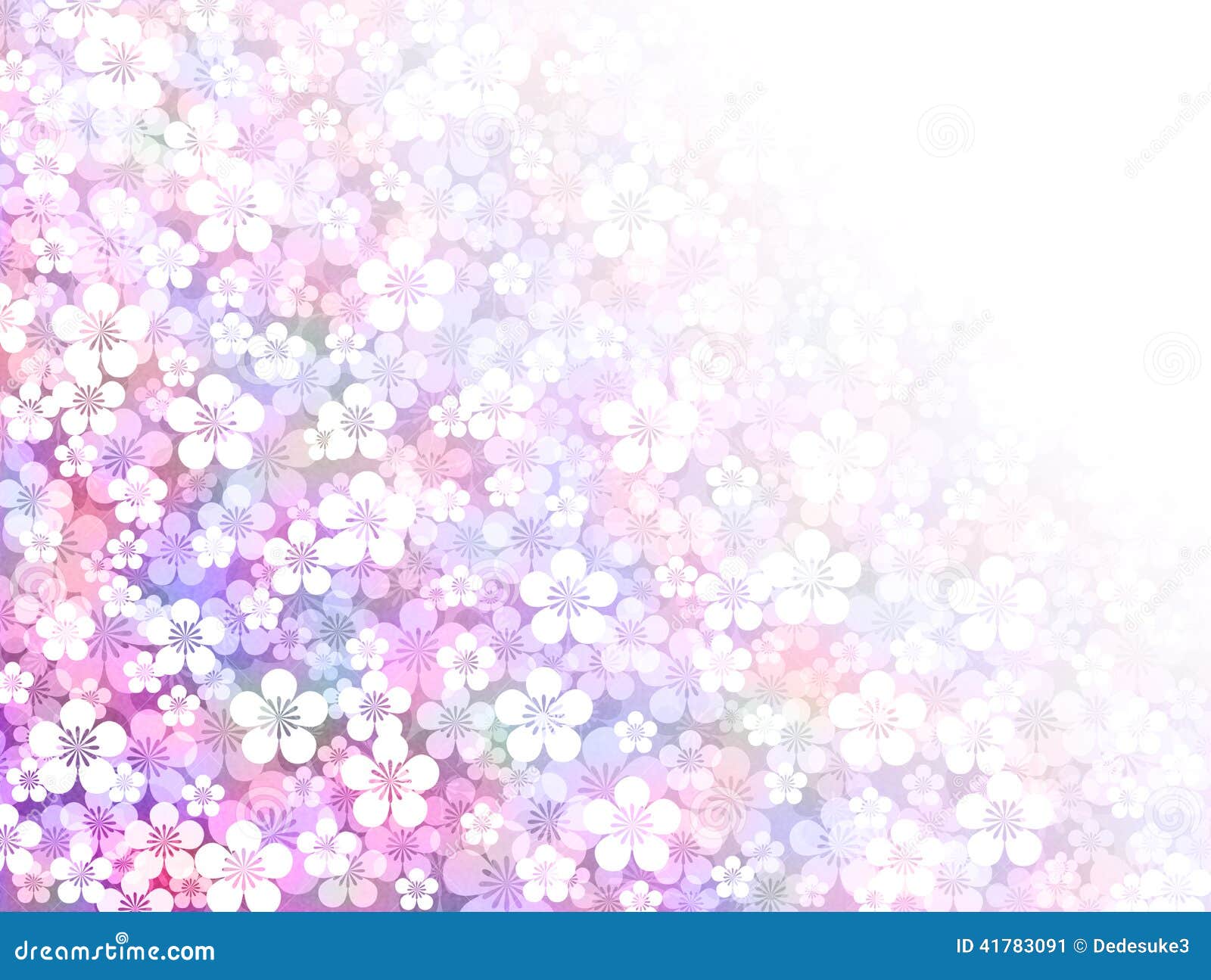 Prunus Mume - White Chinese Plum, Japanese Apricot Flower, Plum Blossom ...