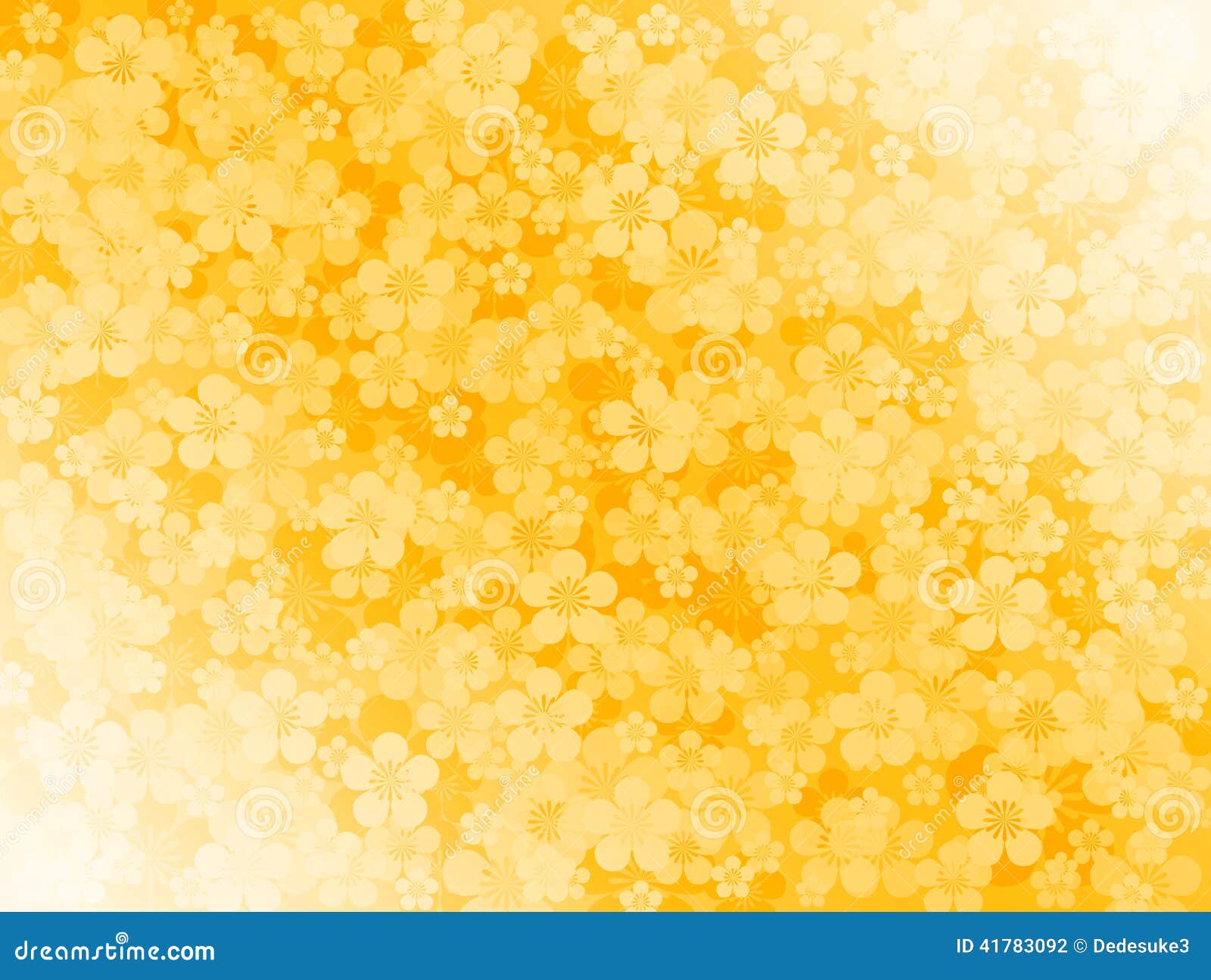 Prunus Mume - White Chinese Plum, Japanese Apricot Flower, Plum Blossom ...