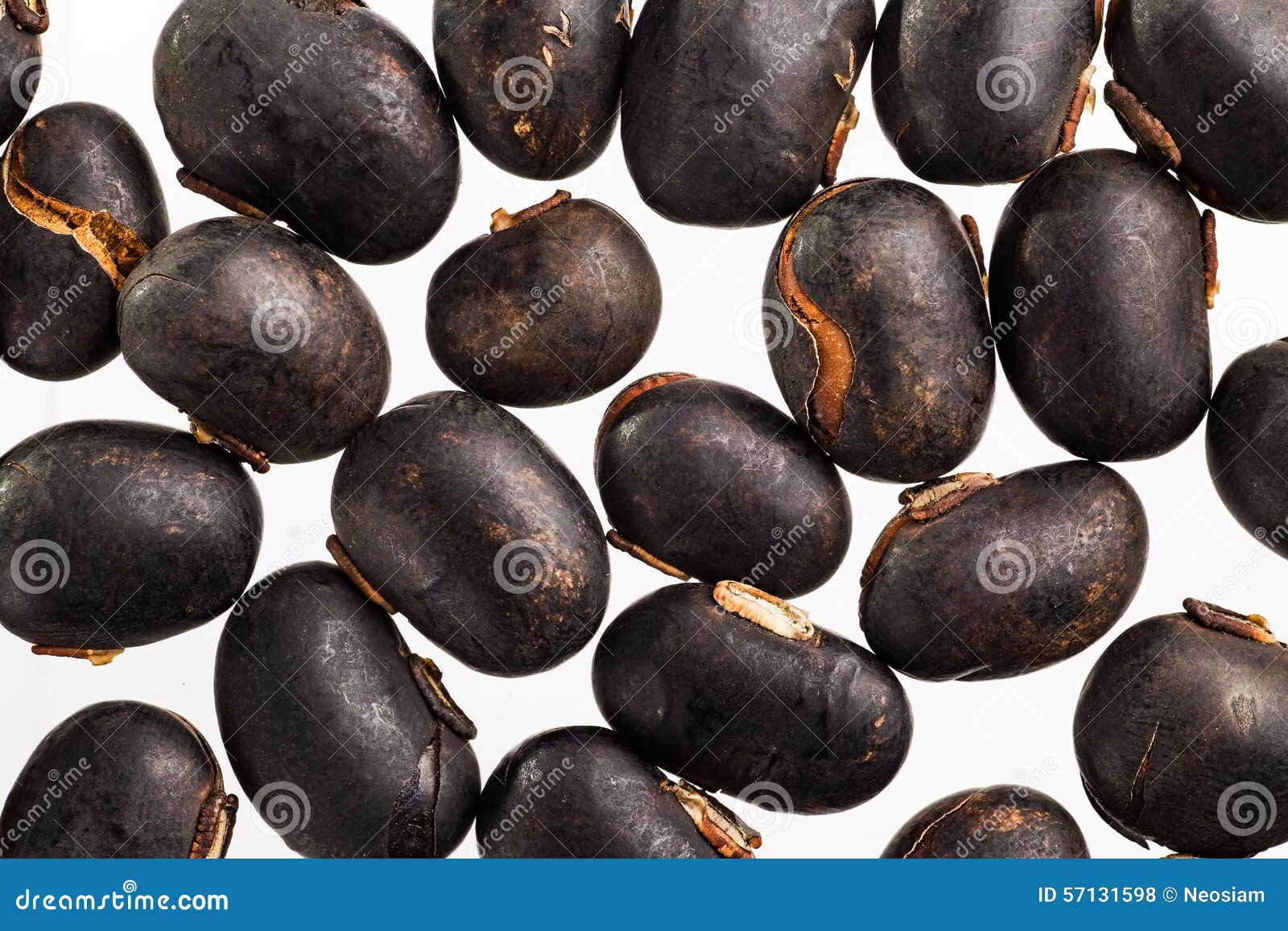 Pruriens Del Mucuna Aislados Foto de archivo - Imagen de salud, mejor ...