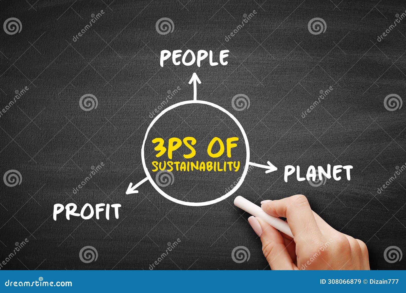3Ps of Sustainability - Meeting Our Own Needs without Compromising the ...